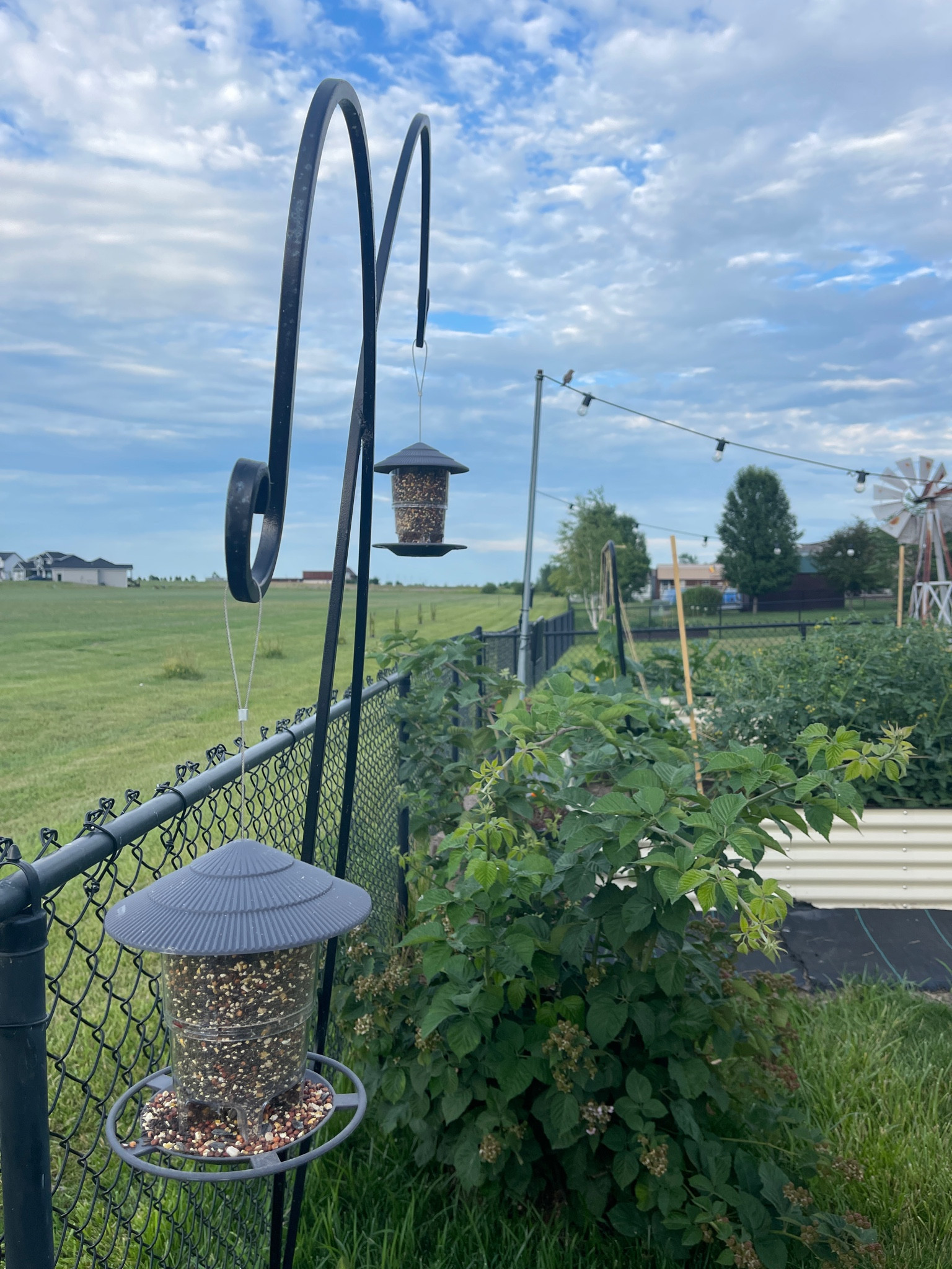 Bird Feeders for Outdoors, … curated on LTK