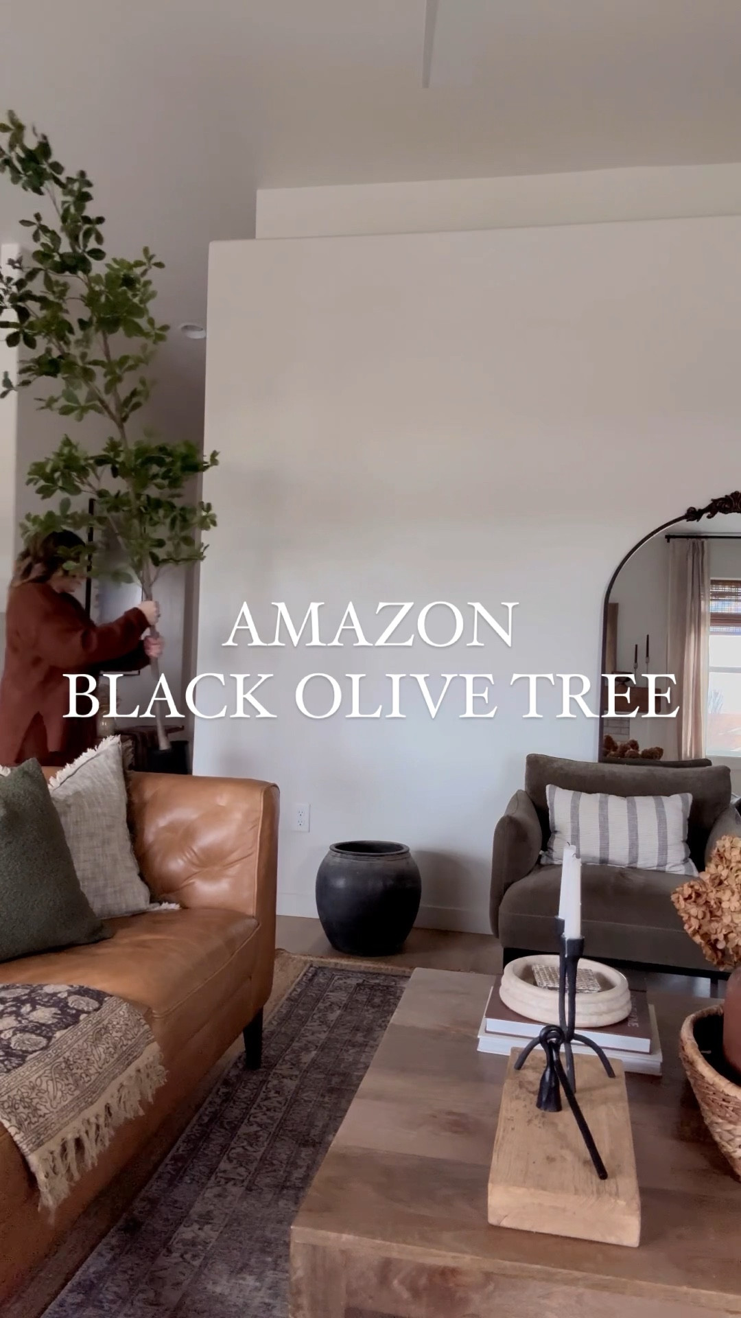 Bellacat Faux Black Olive Tree … curated on LTK