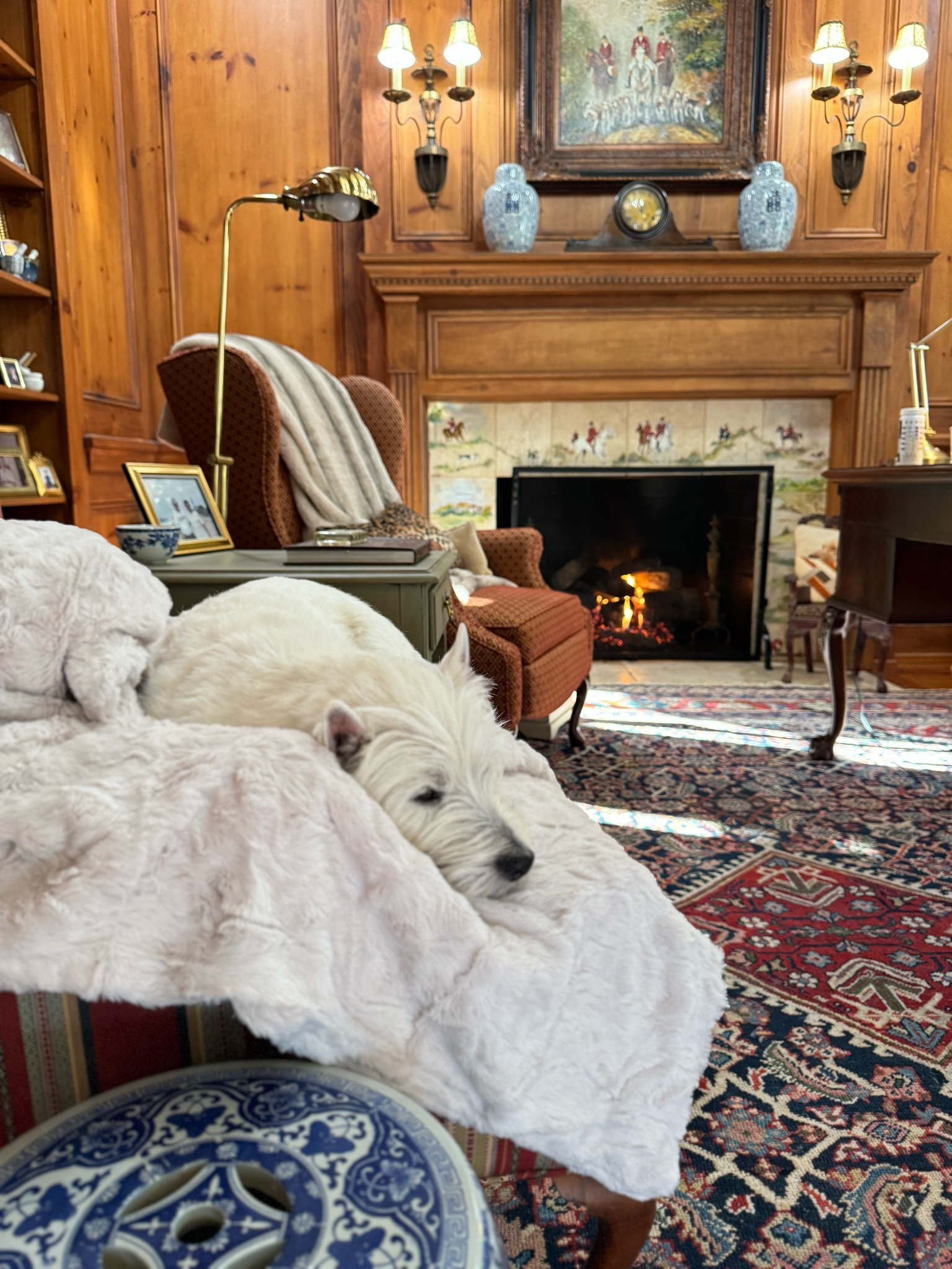 Visit the Best Friends by Sheri … curated on LTK