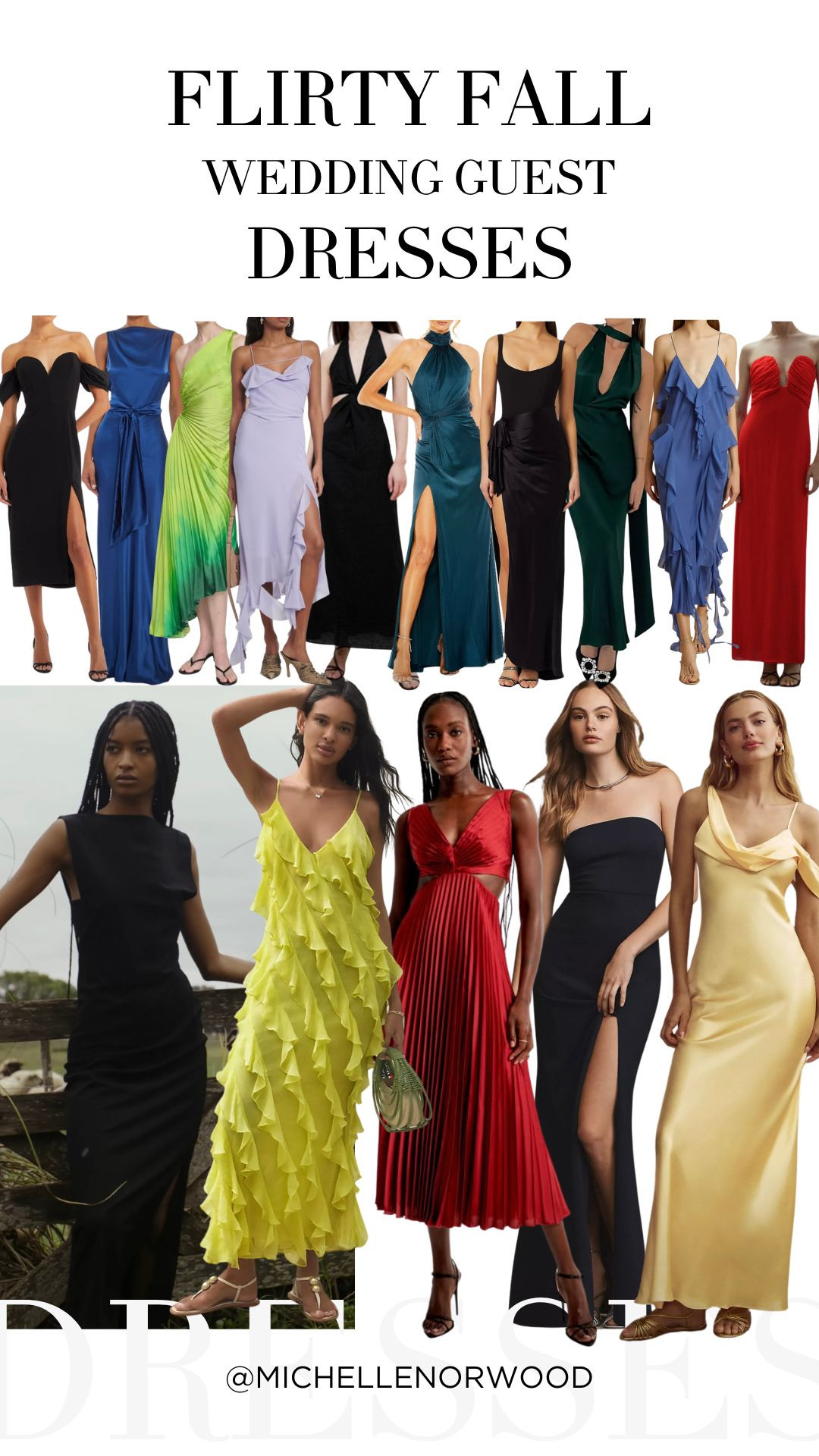 MichelleNorwood on LTK