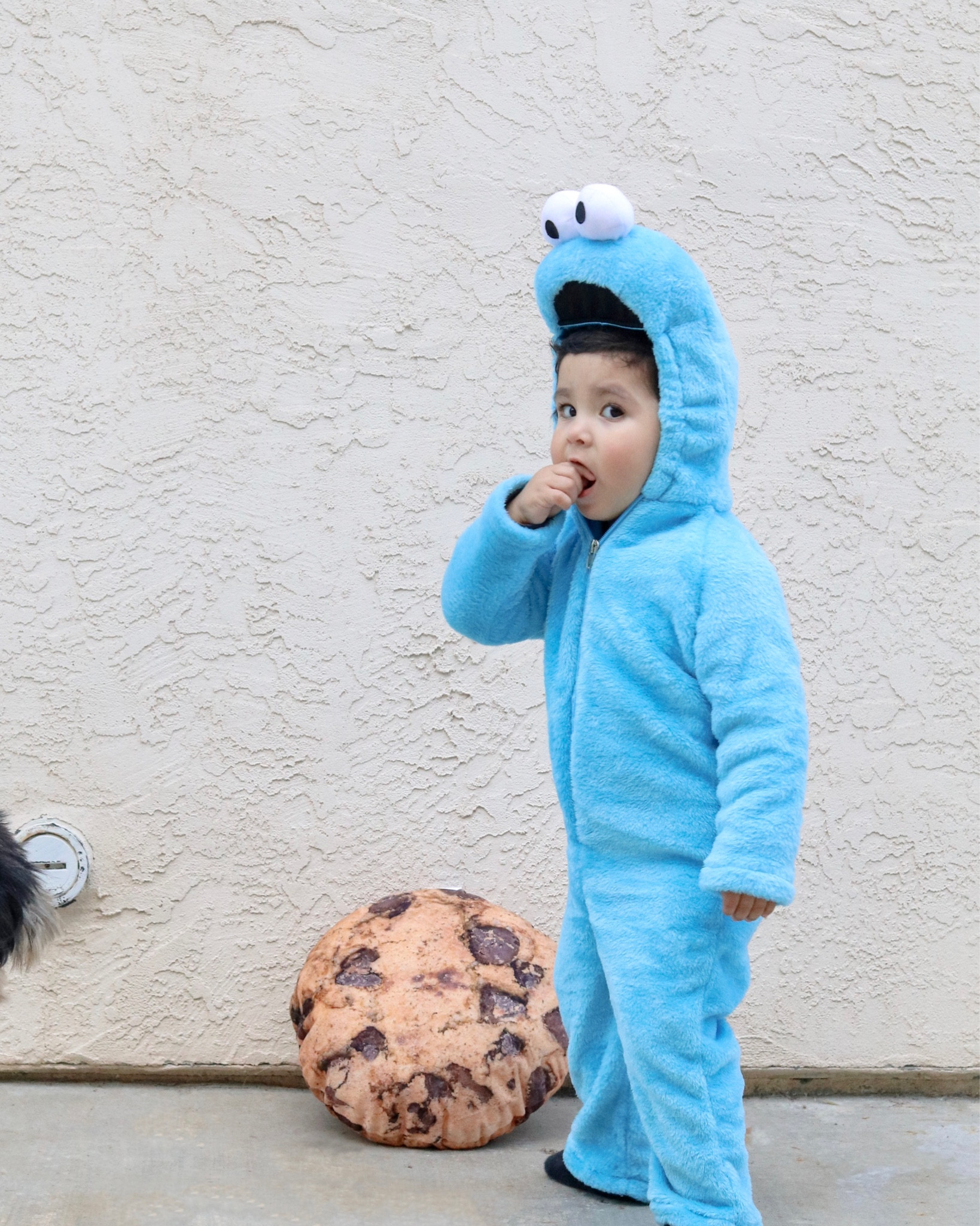 Disguise Cookie Monster Extra … curated on LTK