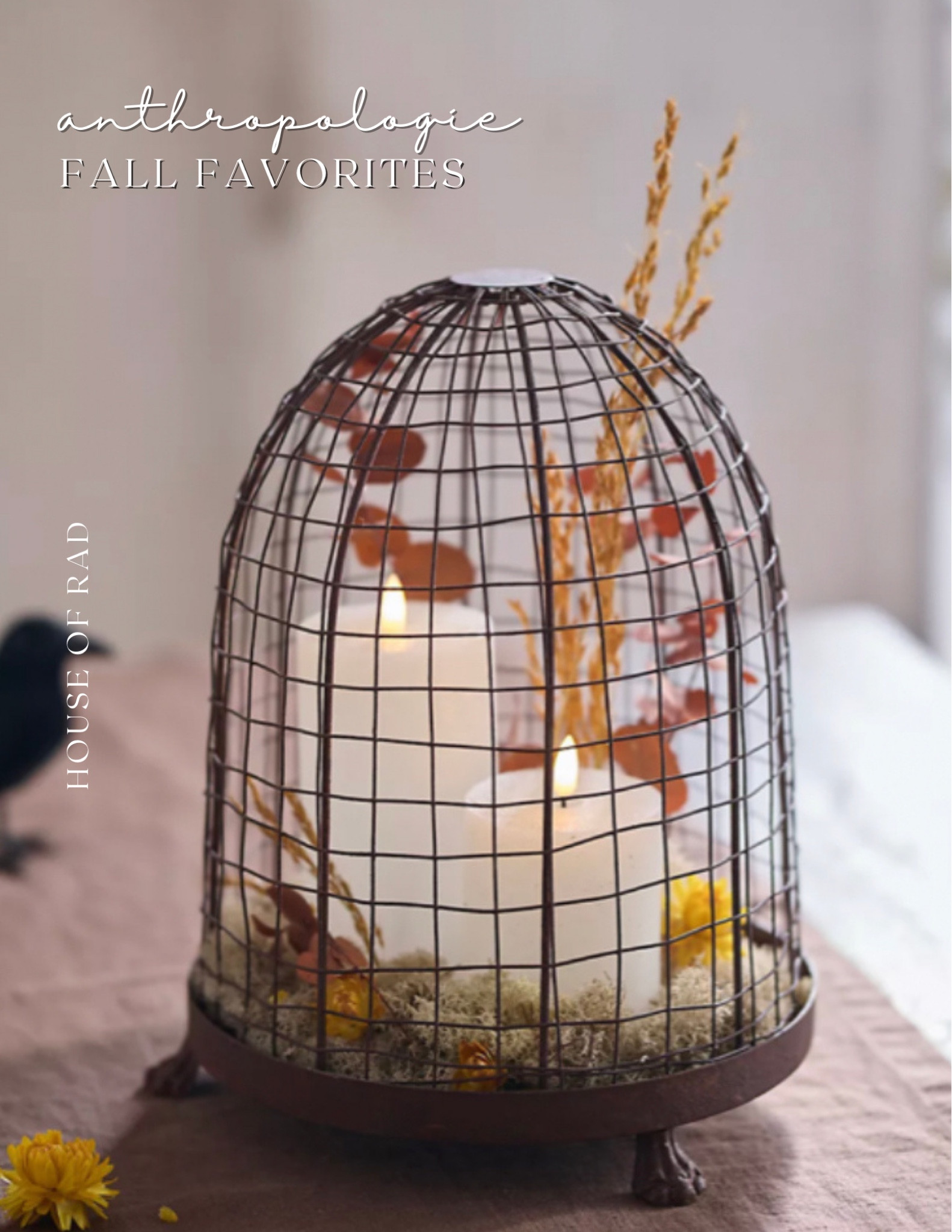 Dome Wire Cloche curated on LTK