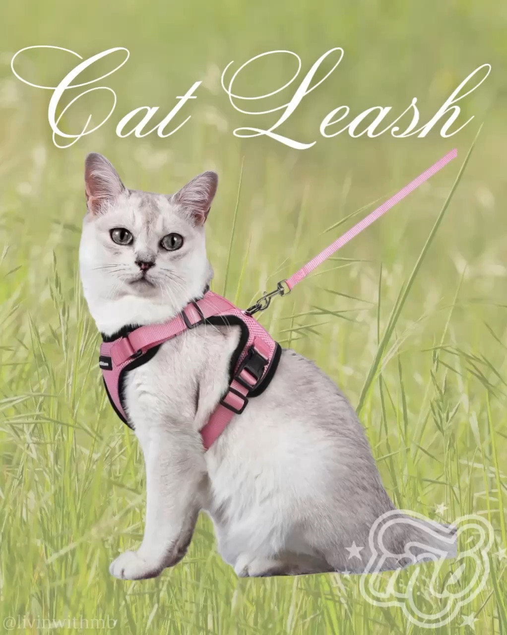 rabbitgoo Cat Harness and Leash … curated on LTK