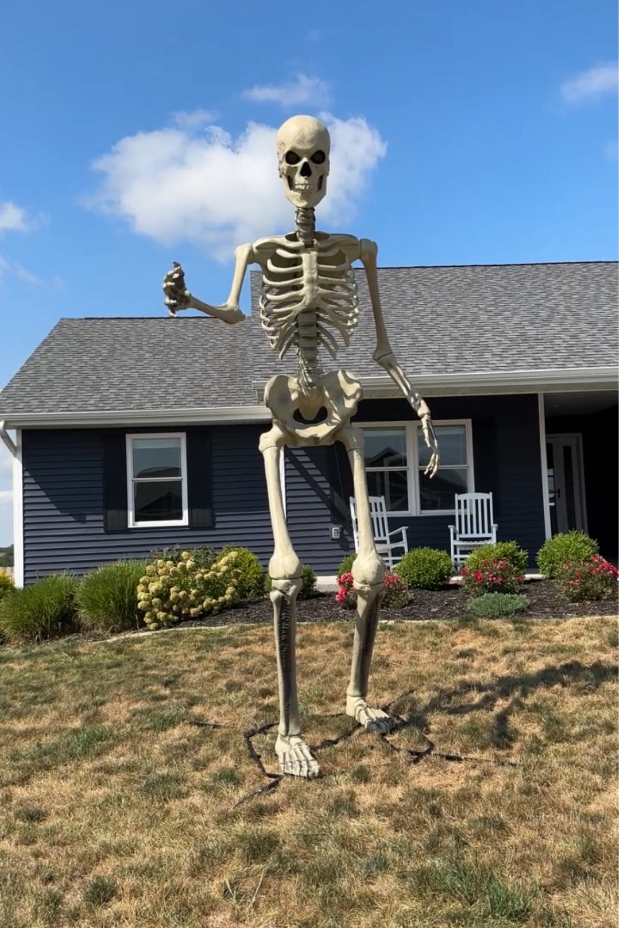 12 ft. Giant-Sized Skelly curated on LTK