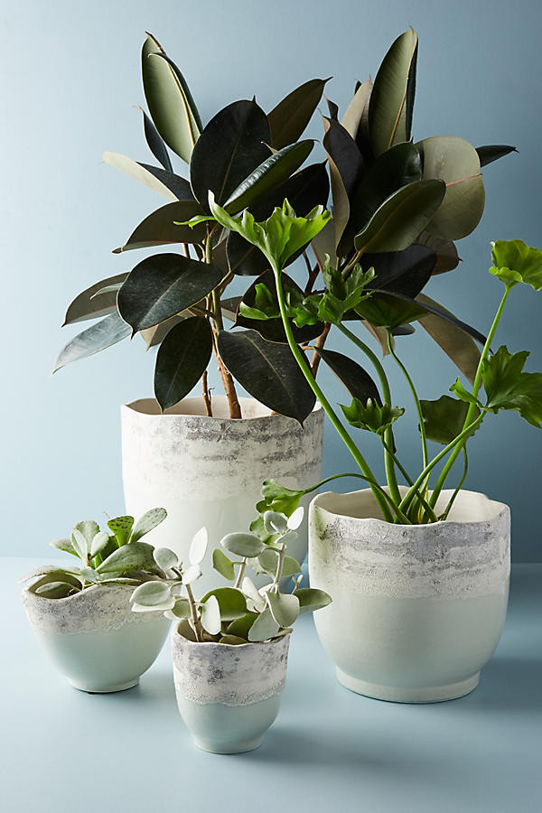 Home Tour: Endless Greenery — A Modern Urban Jungle Loft in Atlanta ...