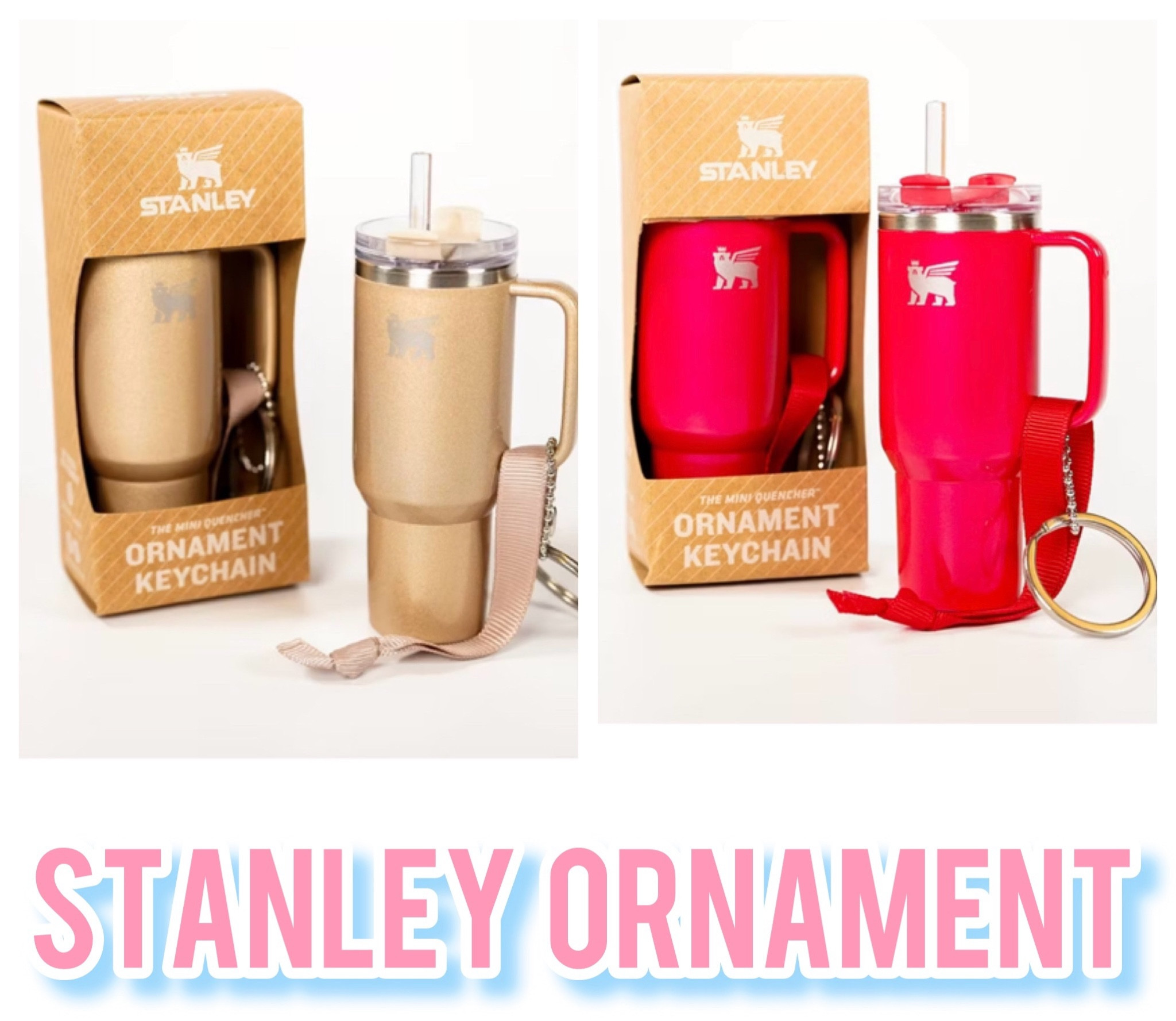 Stanley Water Bottle Keychain … curated on LTK
