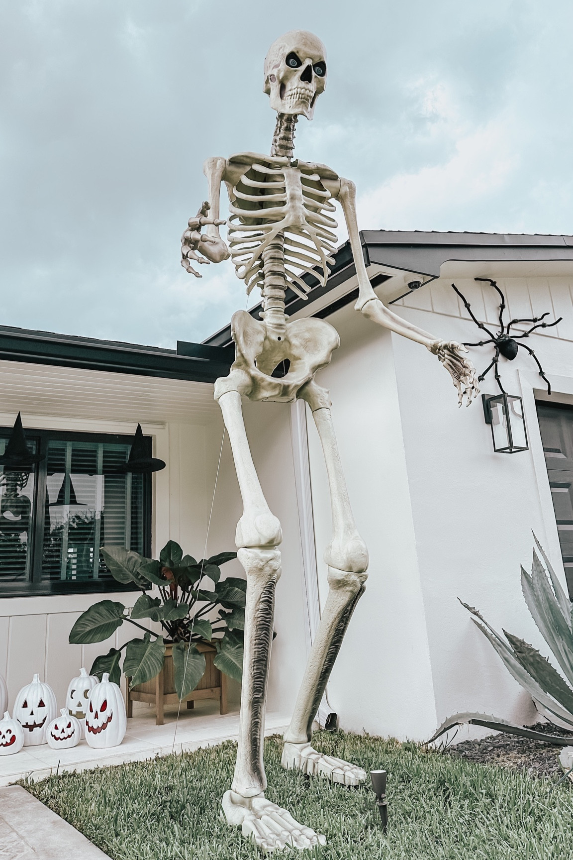 12 ft Giant-Sized Skeleton with … curated on LTK