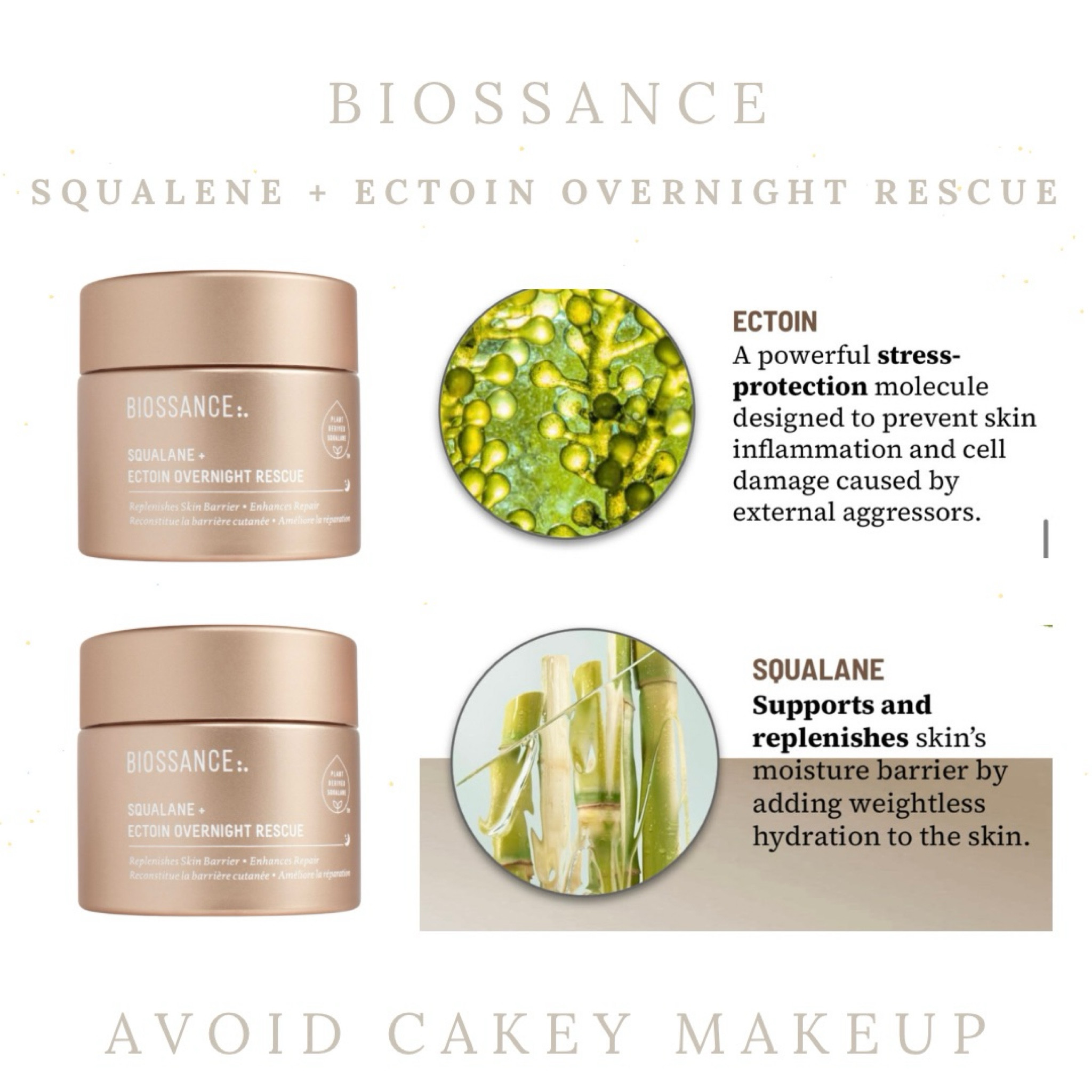 Squalane + Ectoin Overnight Rescue … curated on LTK
