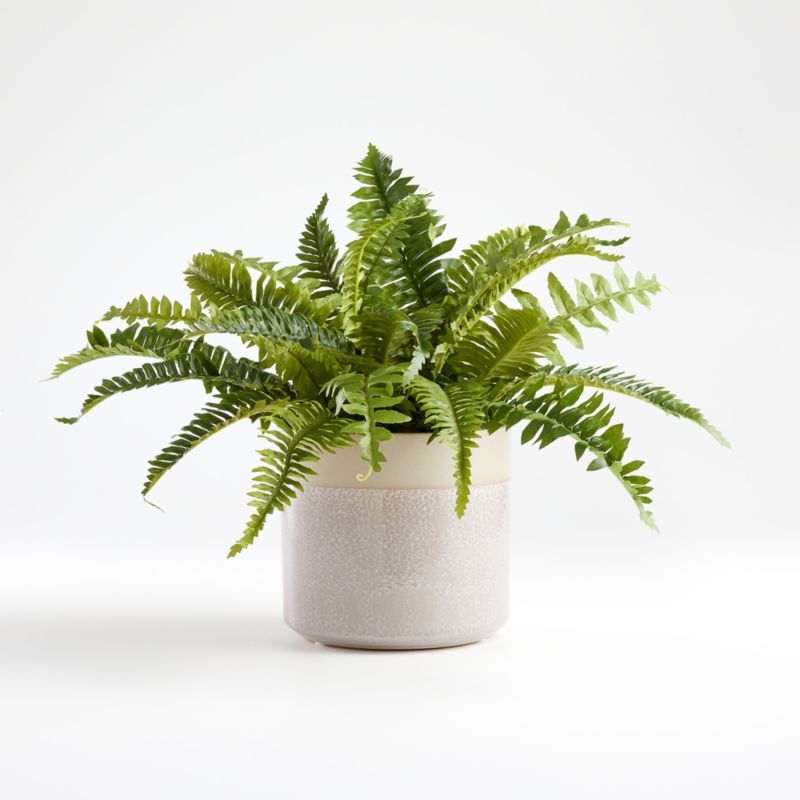 Faux Potted Fern + Reviews curated on LTK