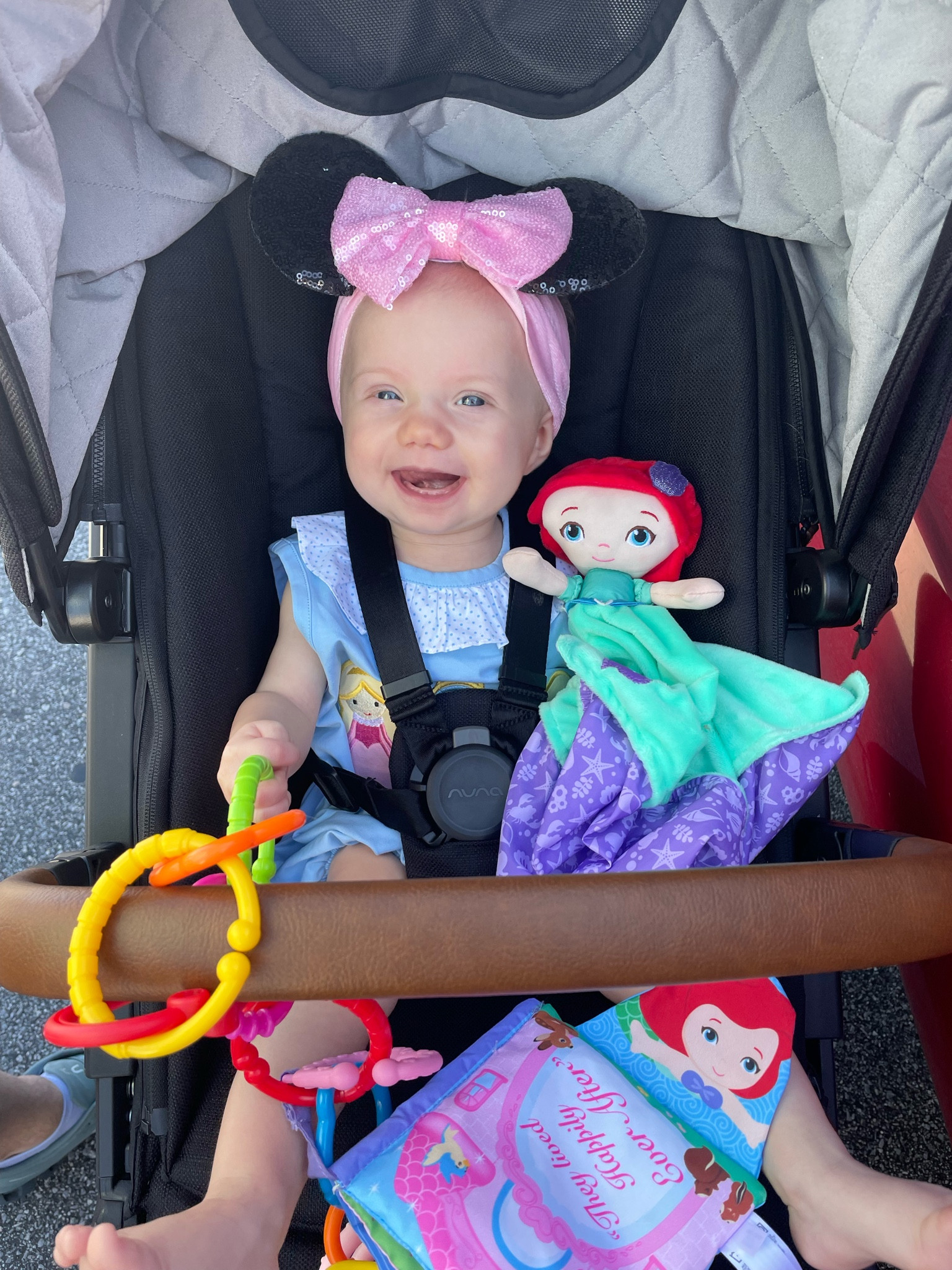 Disney Princesses Disney World Ariel