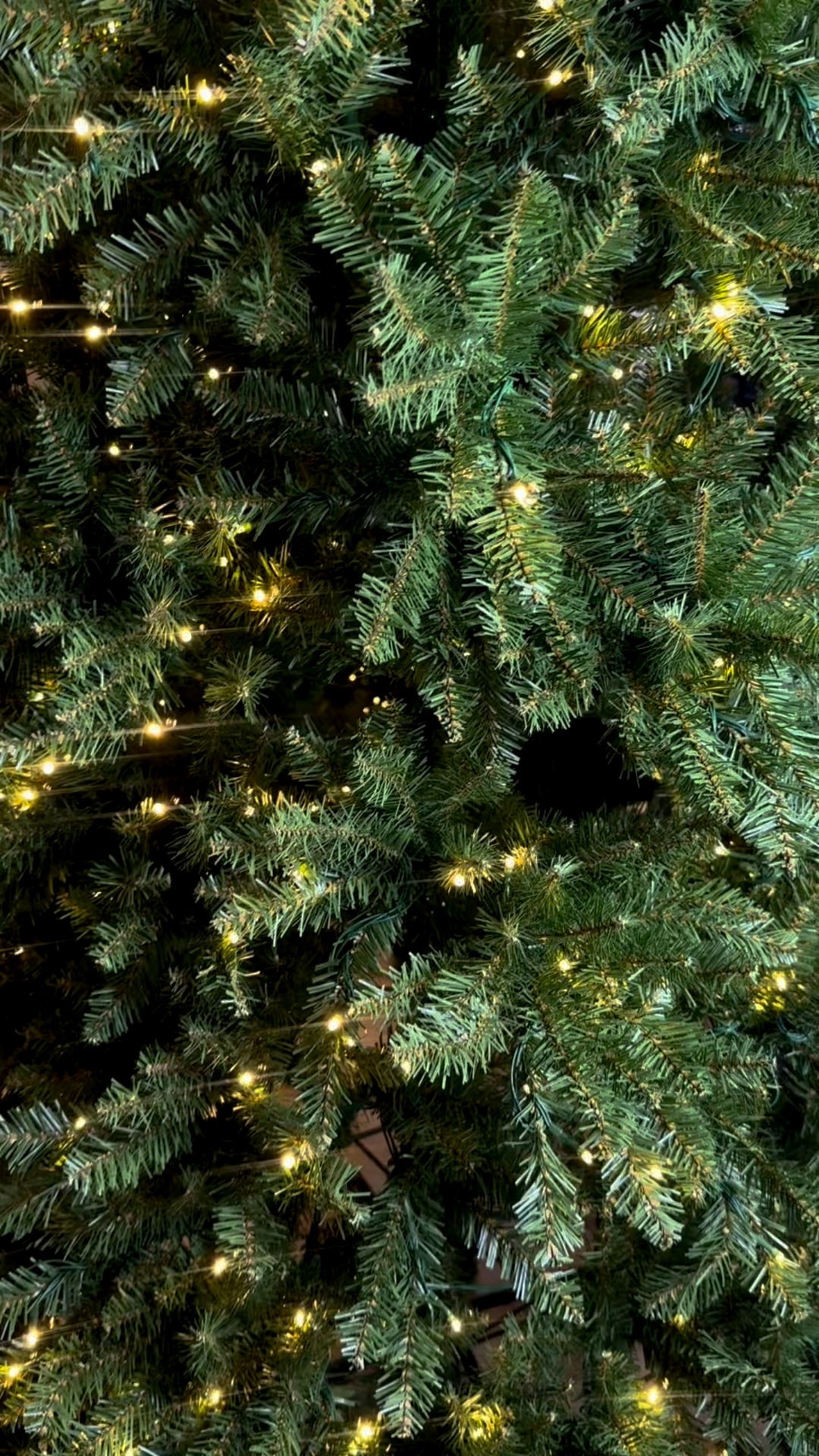 Marcella_Landreth_Designs on LTK