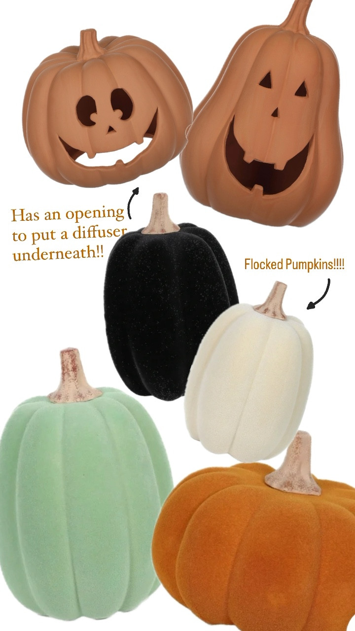 Fall Harvest Cream Flocked Pumpkin … curated on LTK