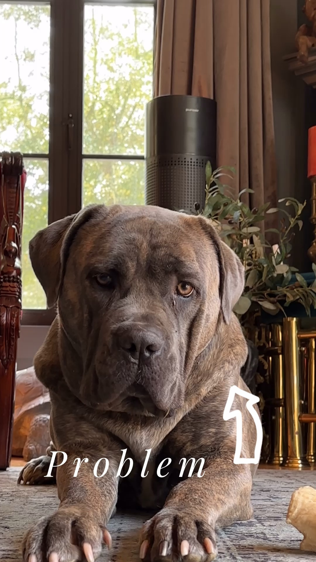 hepa 14 air purifier curated on LTK