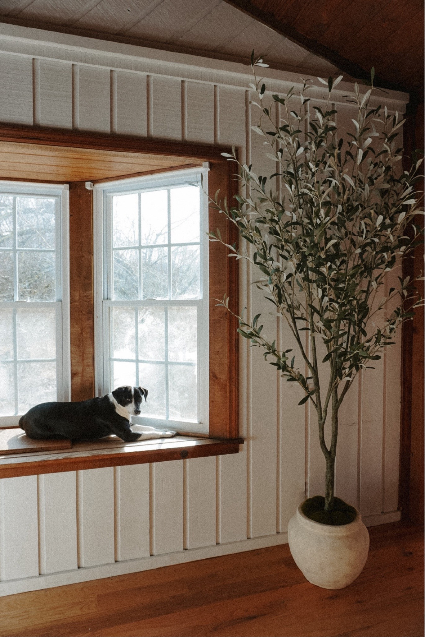 Aileana Solid Wood Panel Bed curated on LTK