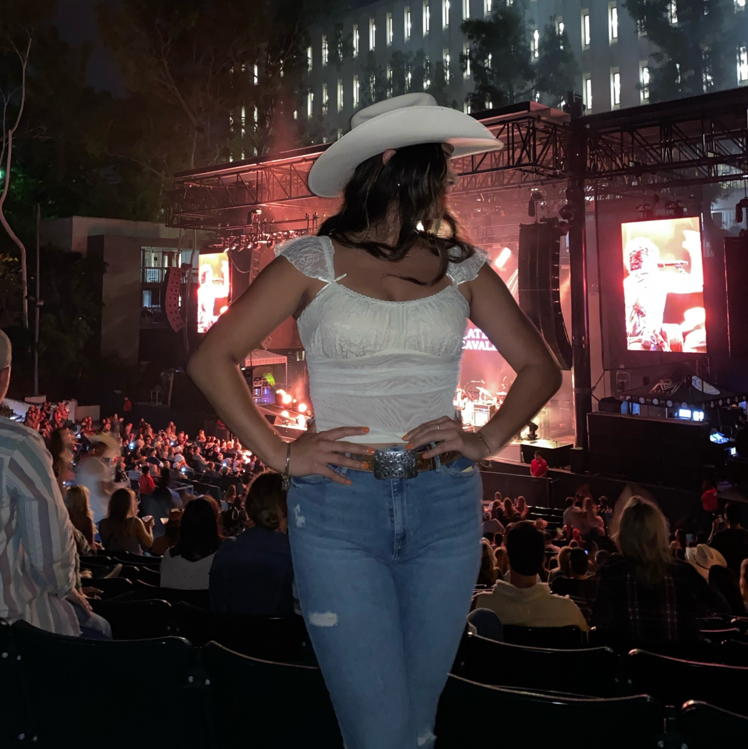 Chris Stapleton Concert Style Recommendations - Magic of Clothes