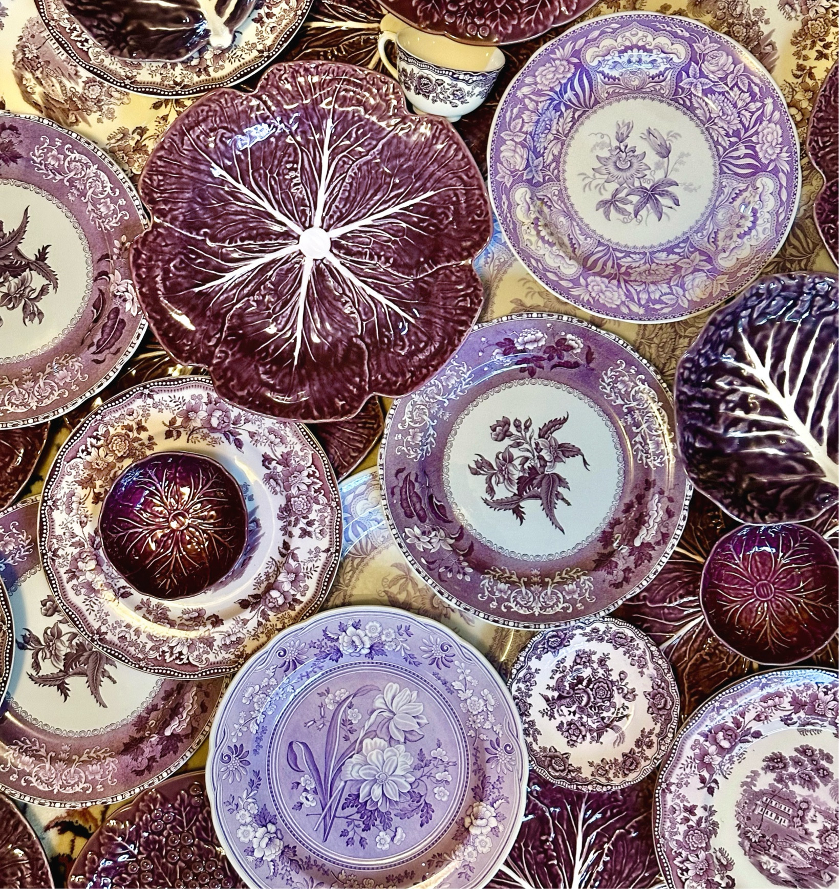 Tonquin Plum Dinner Plate by Royal … curated on LTK