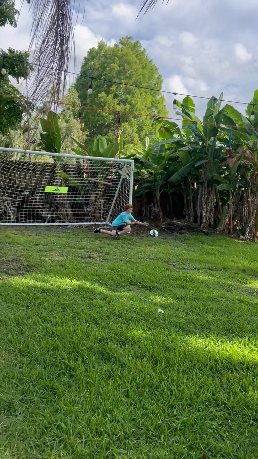 Brava 6.5 ft x 12 ft Tournament … curated on LTK