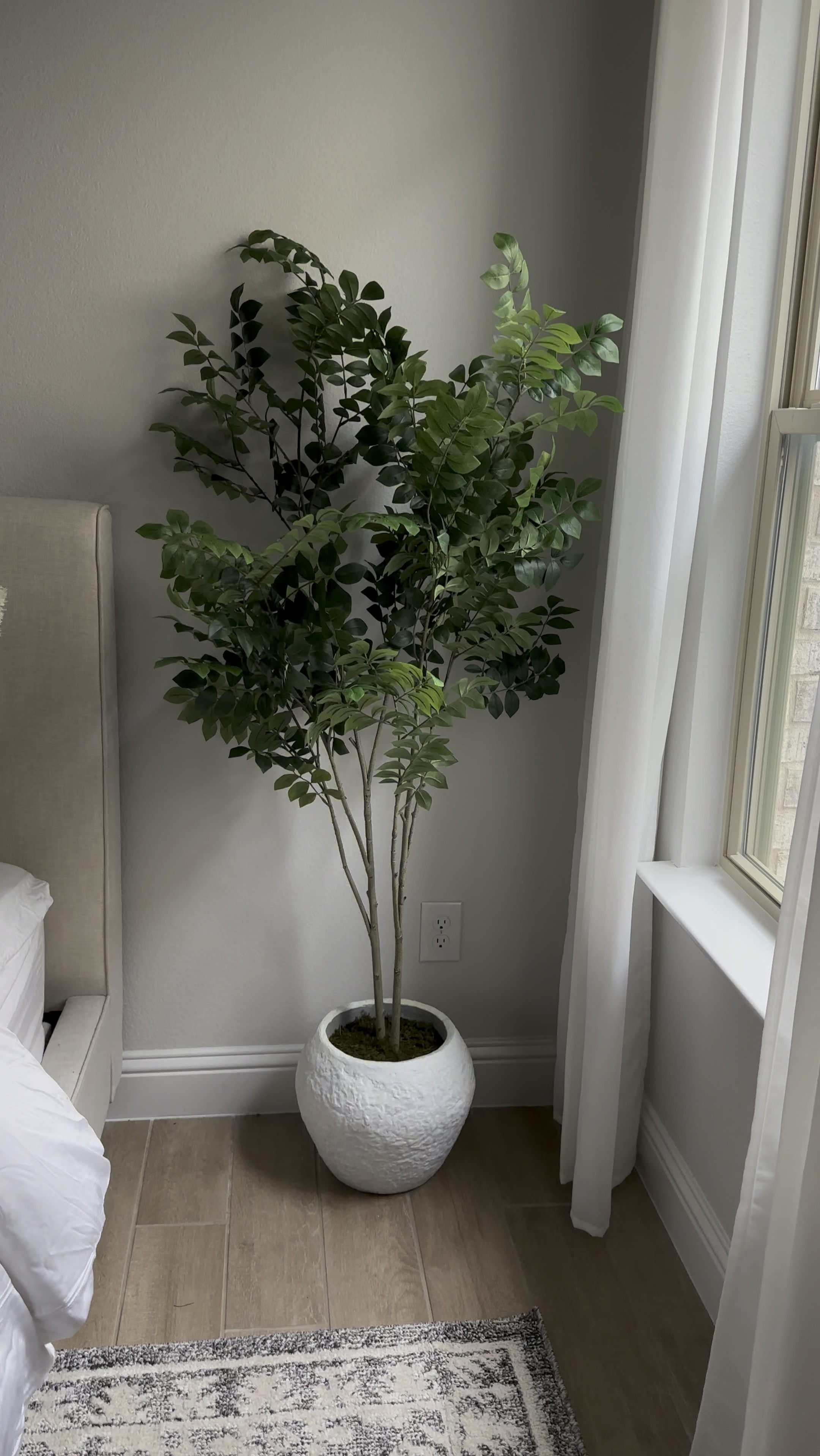 Moringa Artificial Tree Green - … curated on LTK