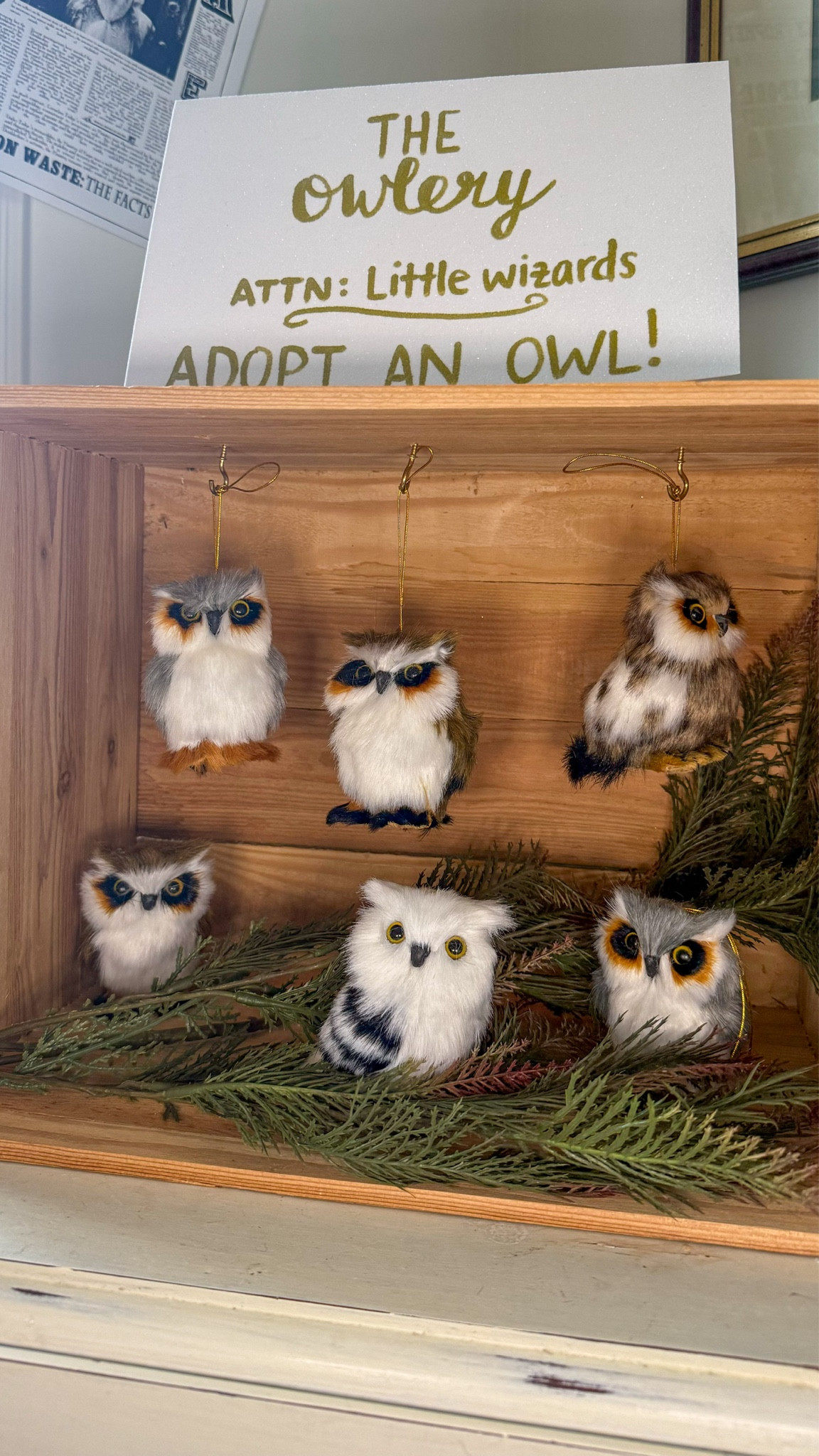 8 Pieces Mini Stuffed Owl Plush … curated on LTK