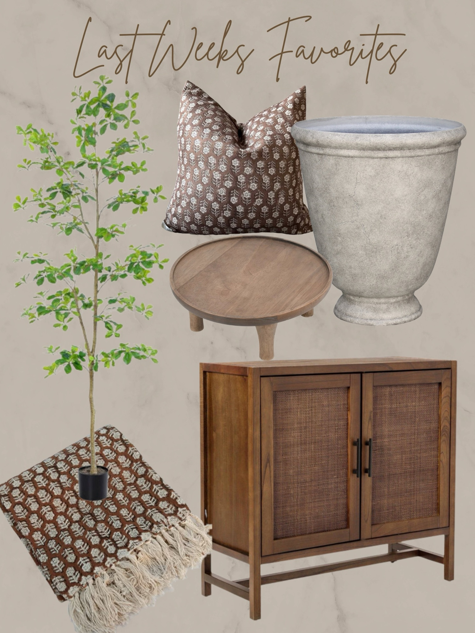 Bellacat Faux Black Olive Tree … curated on LTK