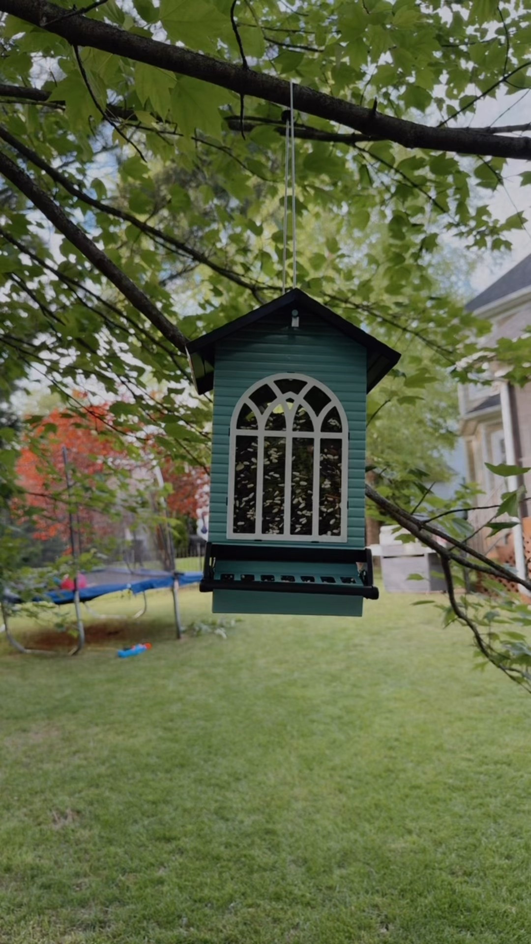 Squirrel Proof Bird Feeder Outside … curated on LTK