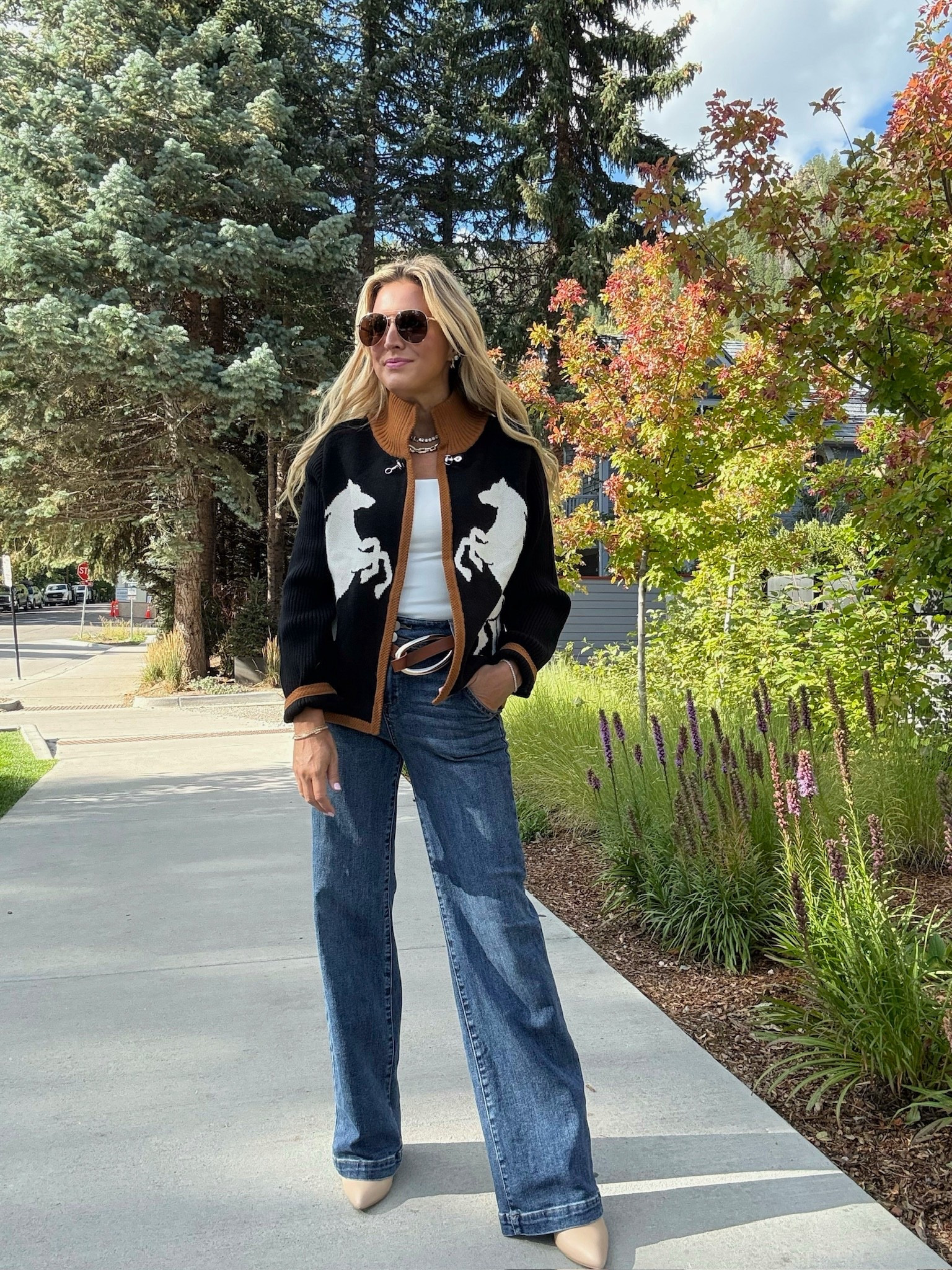 thefancyashley on LTK