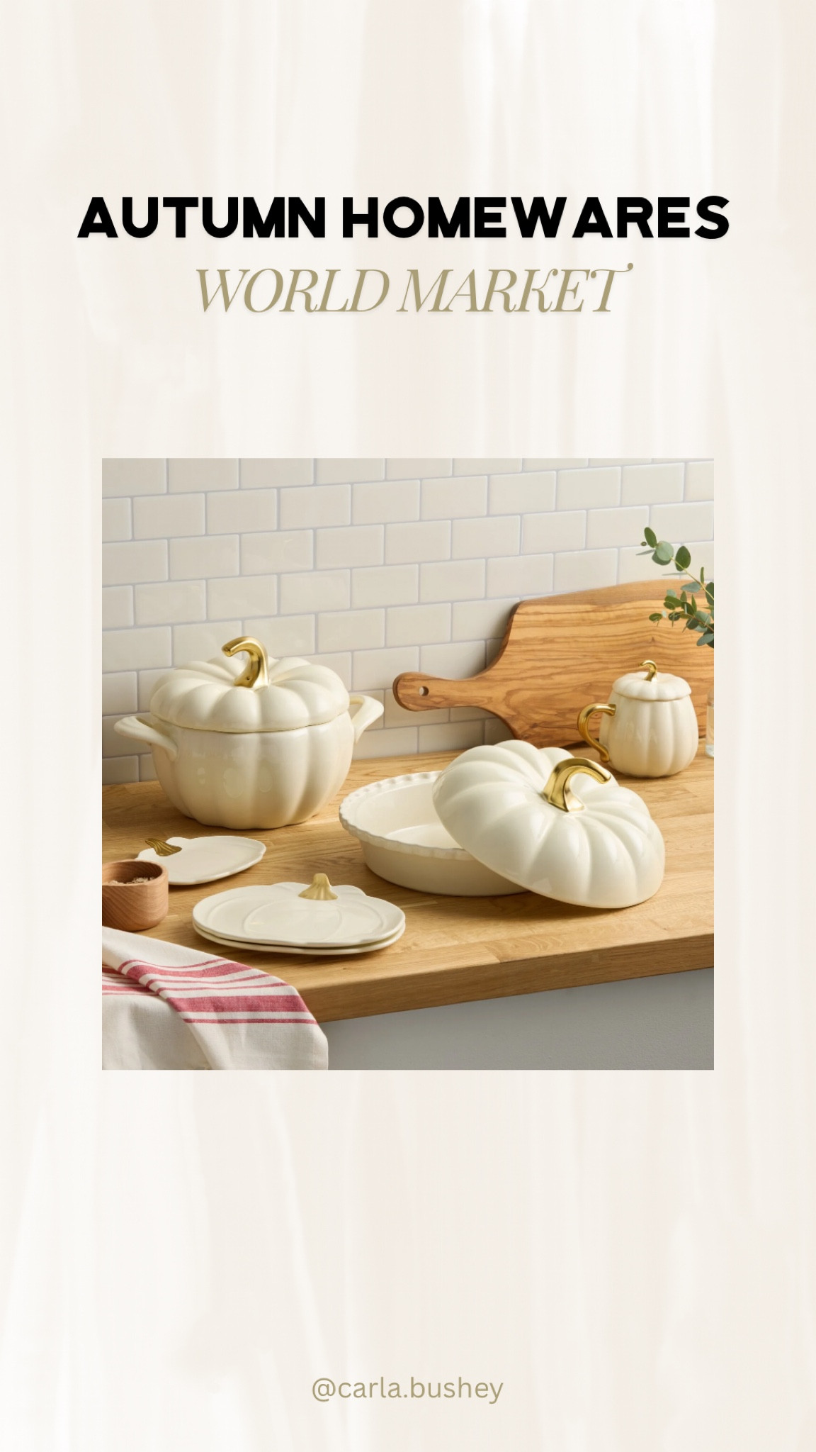 Aeon Design Cheese Slicer/Cutter … curated on LTK