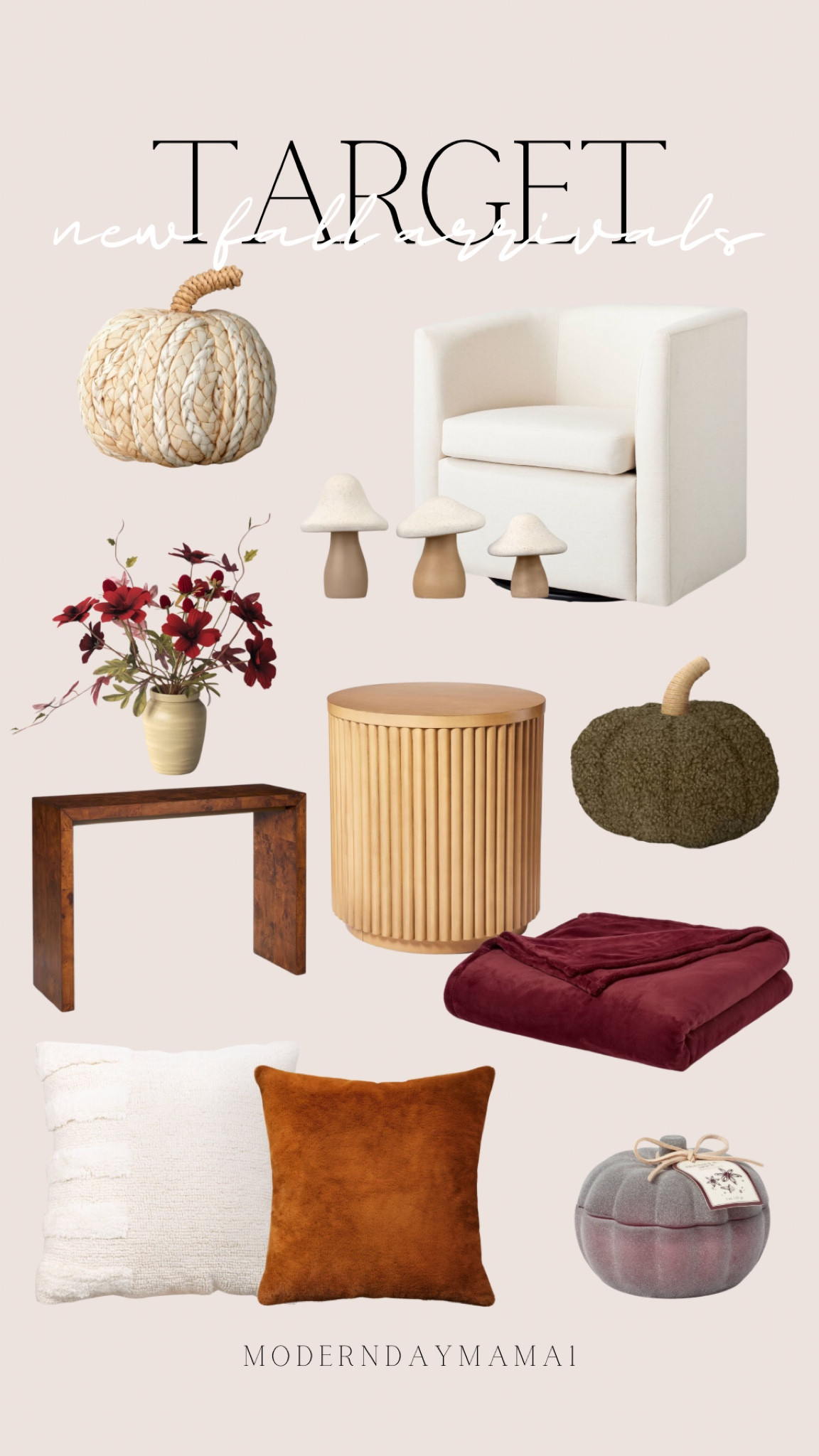 Small Cosmo and Thistle Potted … curated on LTK