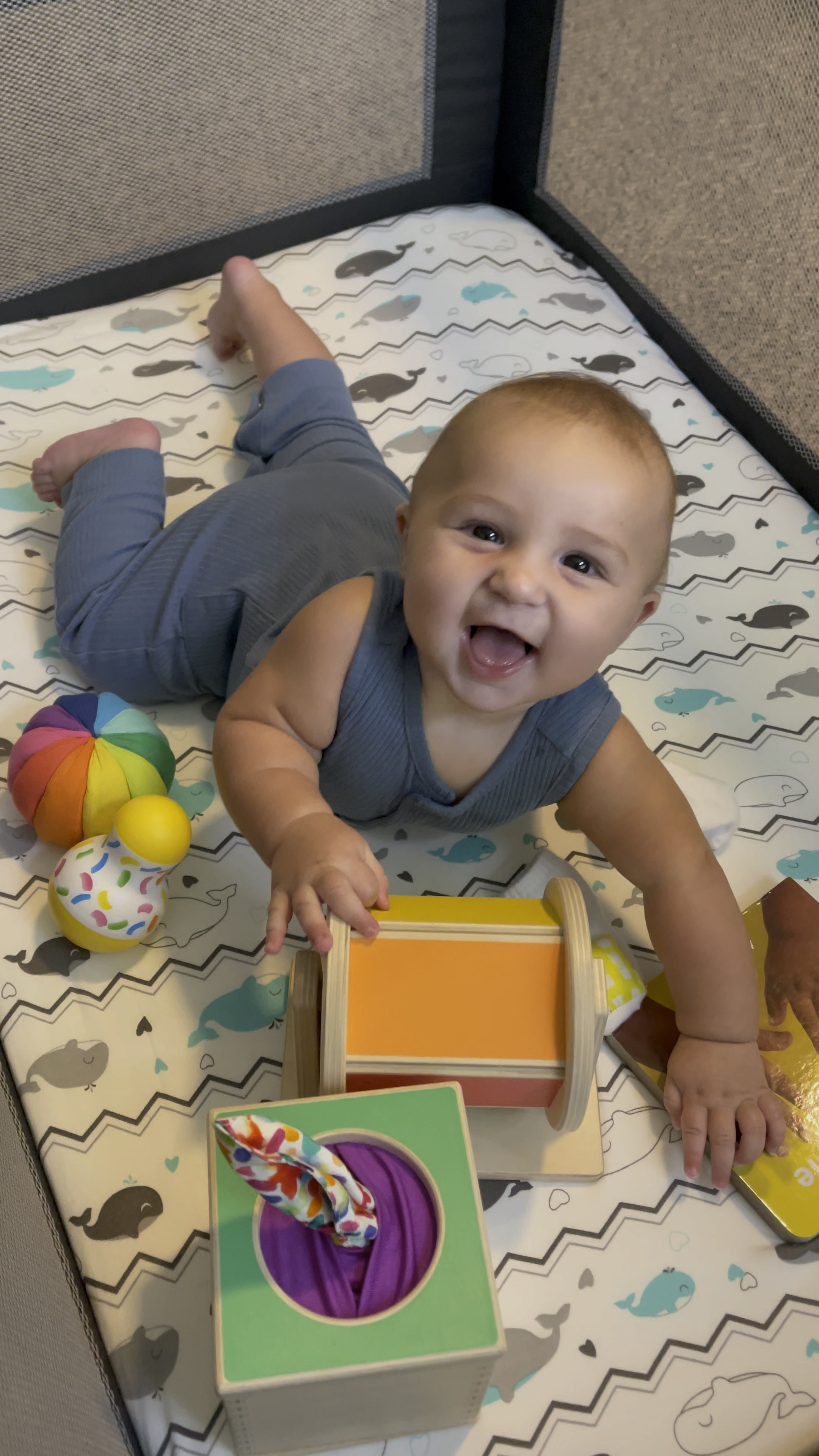 The Senser Play Kit curated on LTK