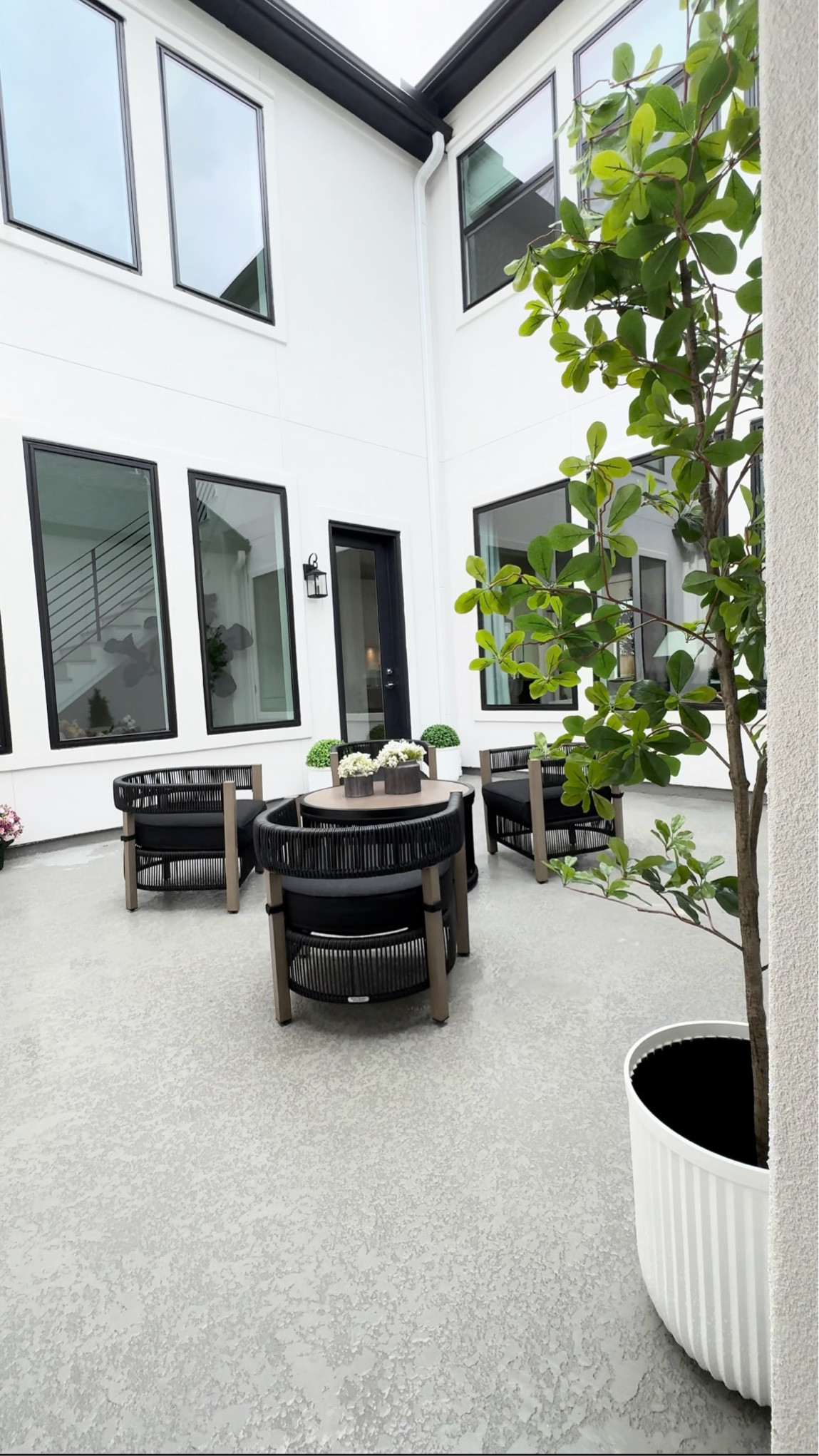 nuLOOM Asha Simple Border … curated on LTK