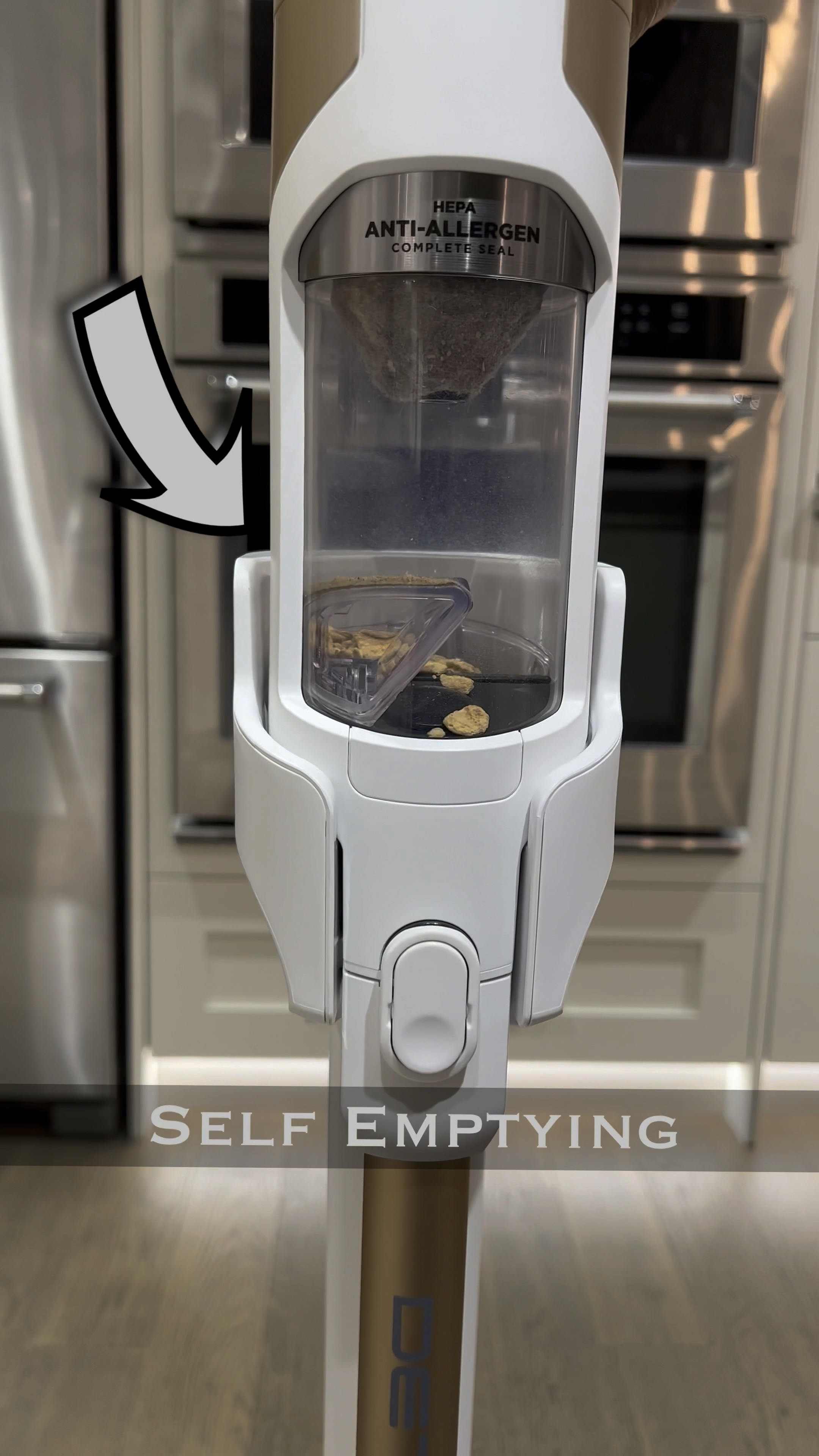 Visit the Shark Store curated on LTK