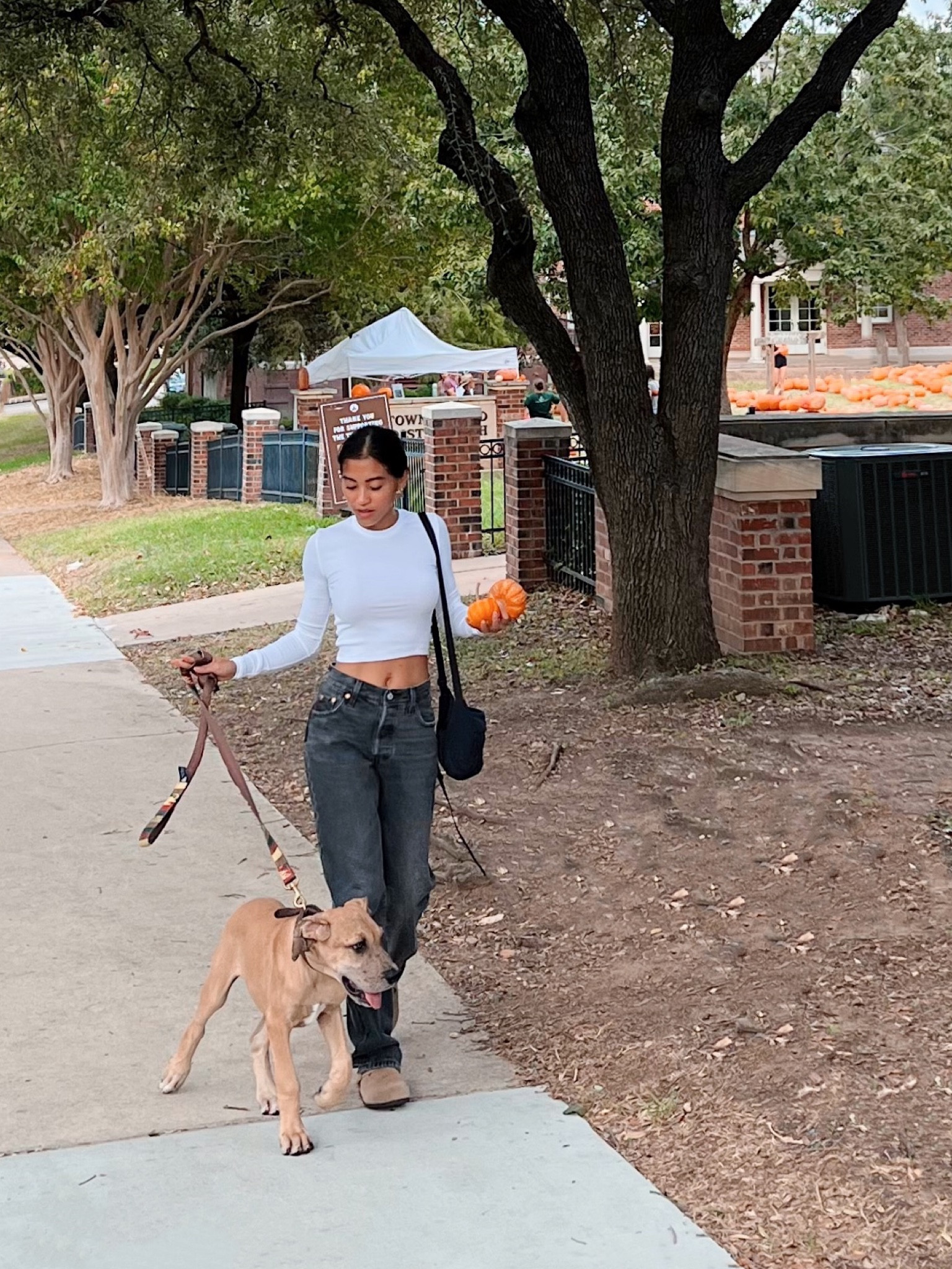 Spring Outfit Ideas: Japan Edition - Magic of Clothes