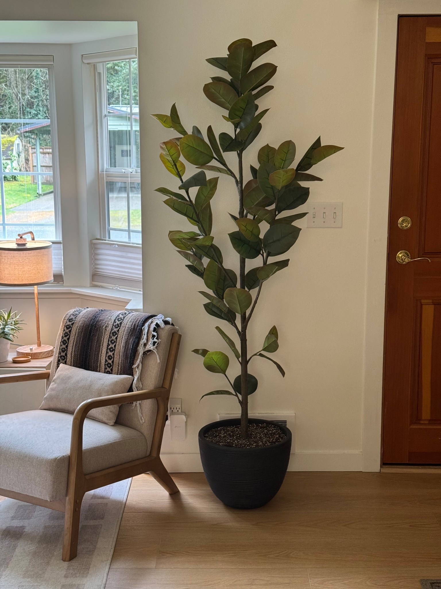 72" Faux Potted Rubber Tree - … curated on LTK