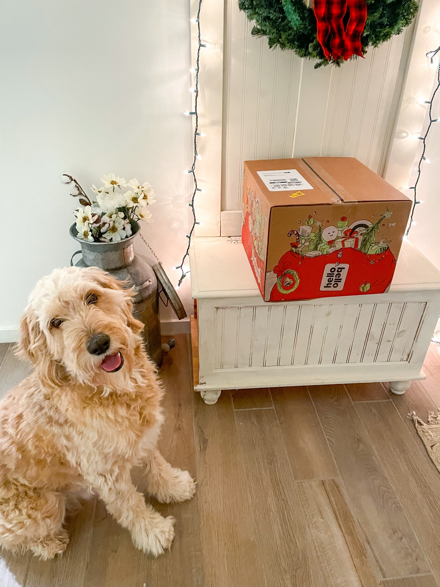 Hello Bello Diapers Jumbo Pack - … curated on LTK