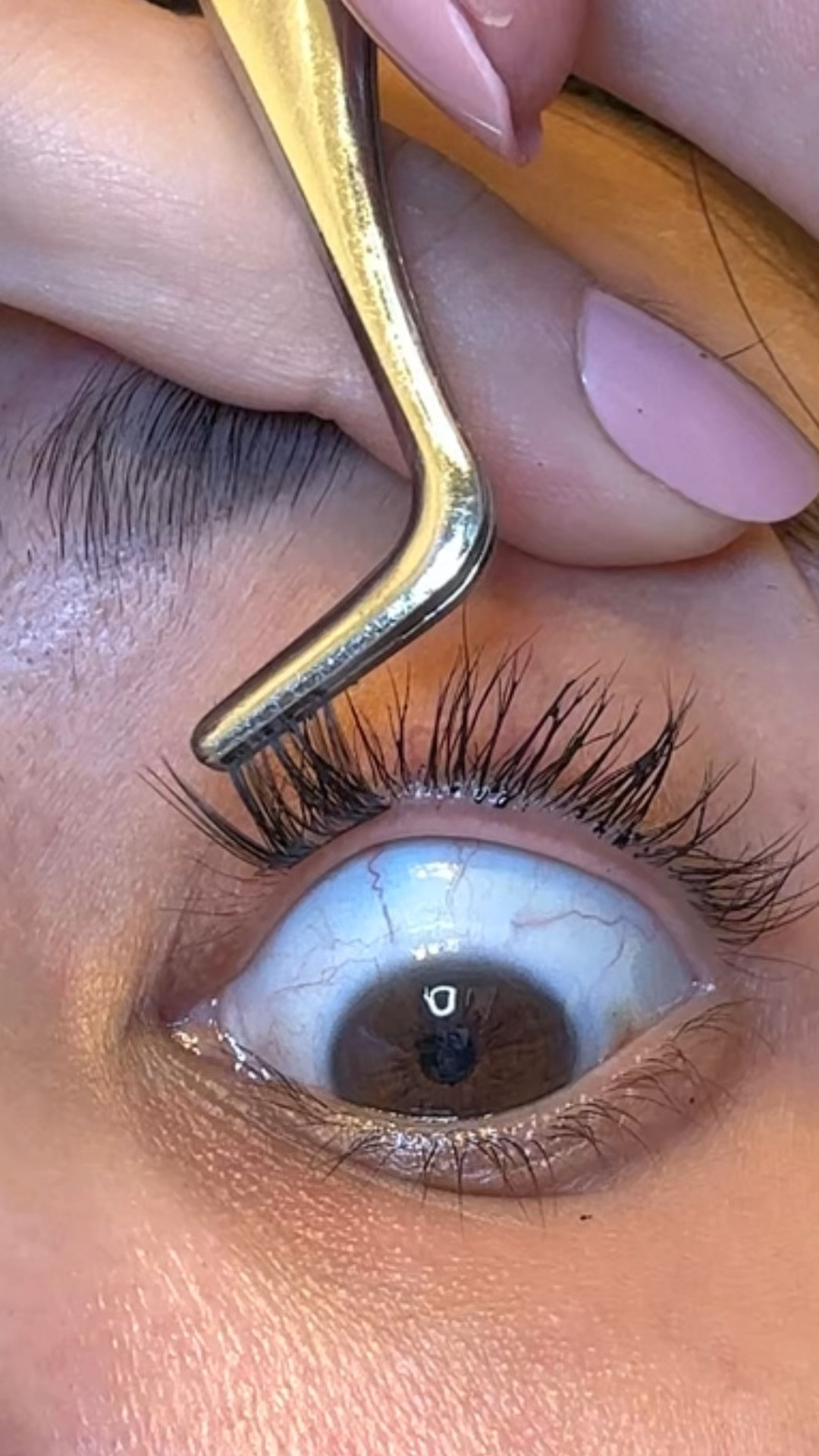 AMZGIRL LASH Midnight DIY Lash … curated on LTK