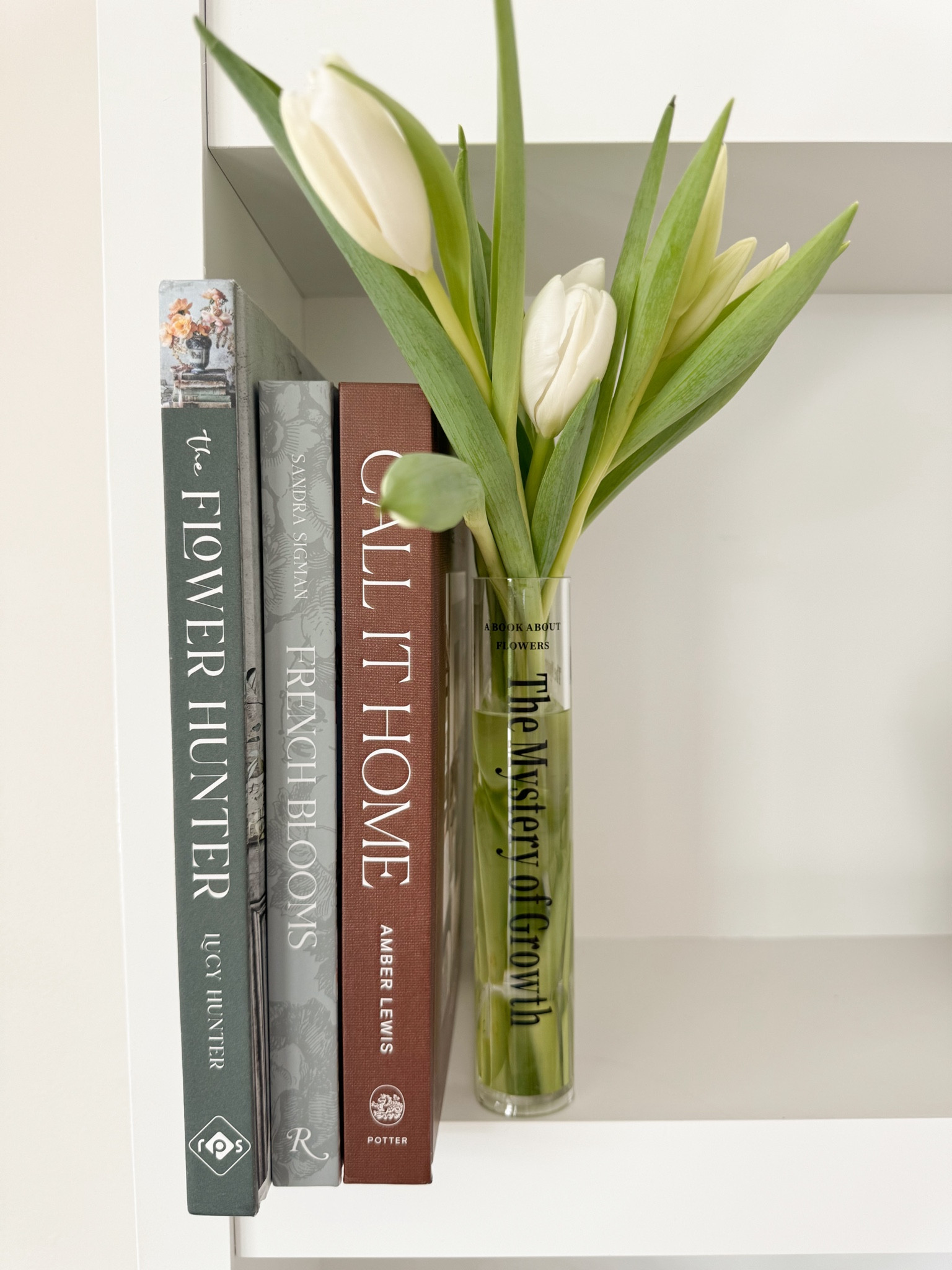 Puransen Bookend Vase for Flowers, … curated on LTK