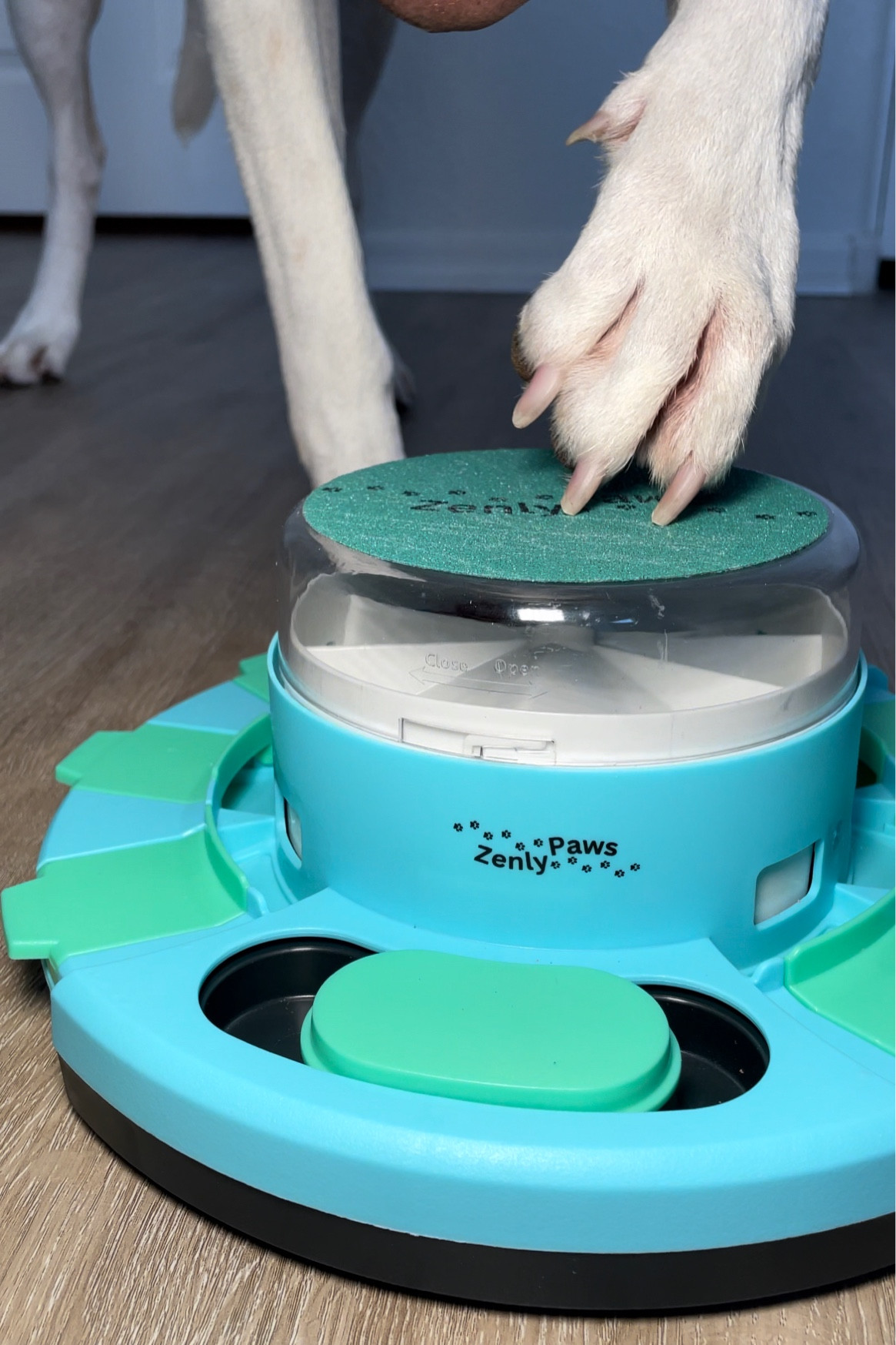 Cece's_Things on LTK