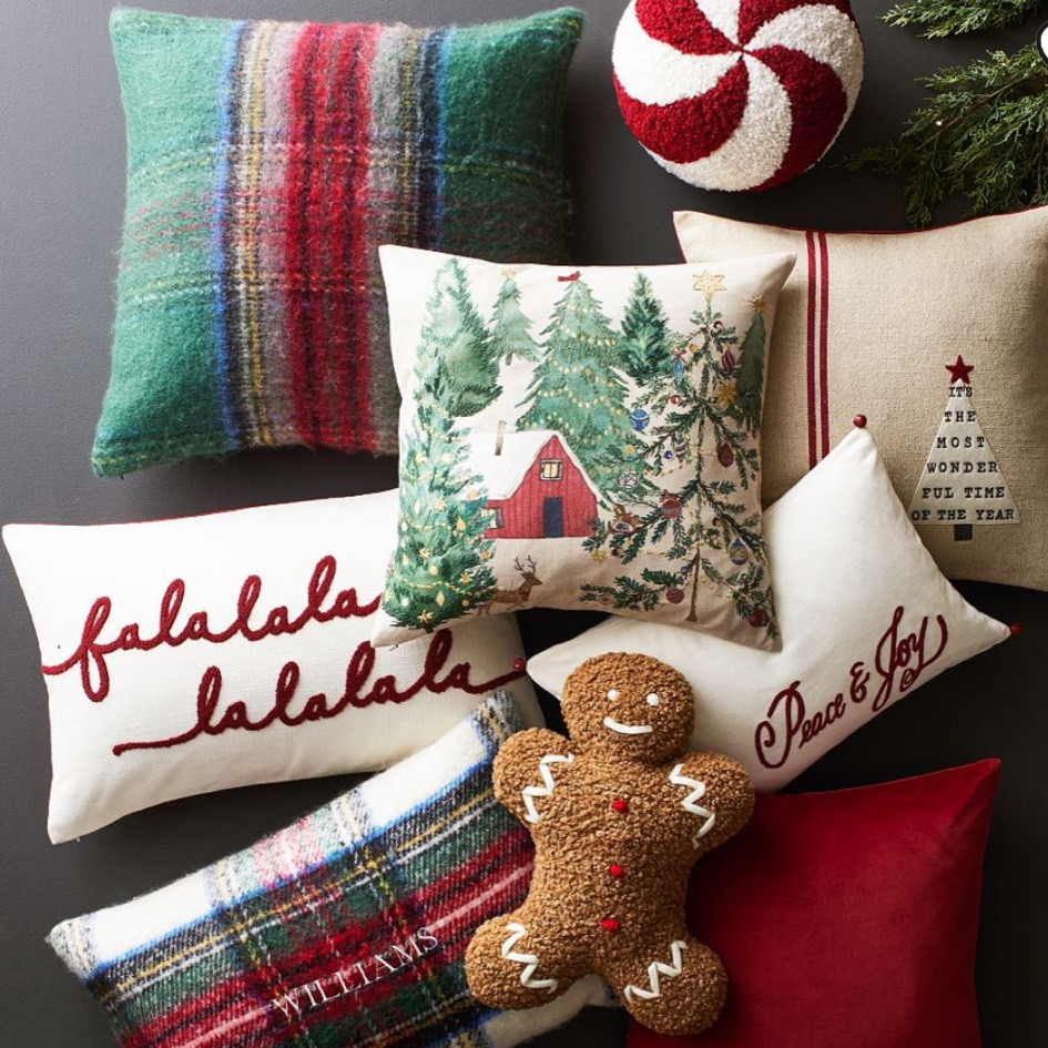 Pottery barn throw pillows store