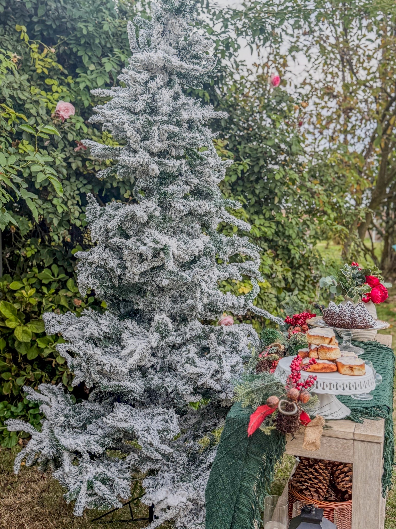 Candieanderson on LTK