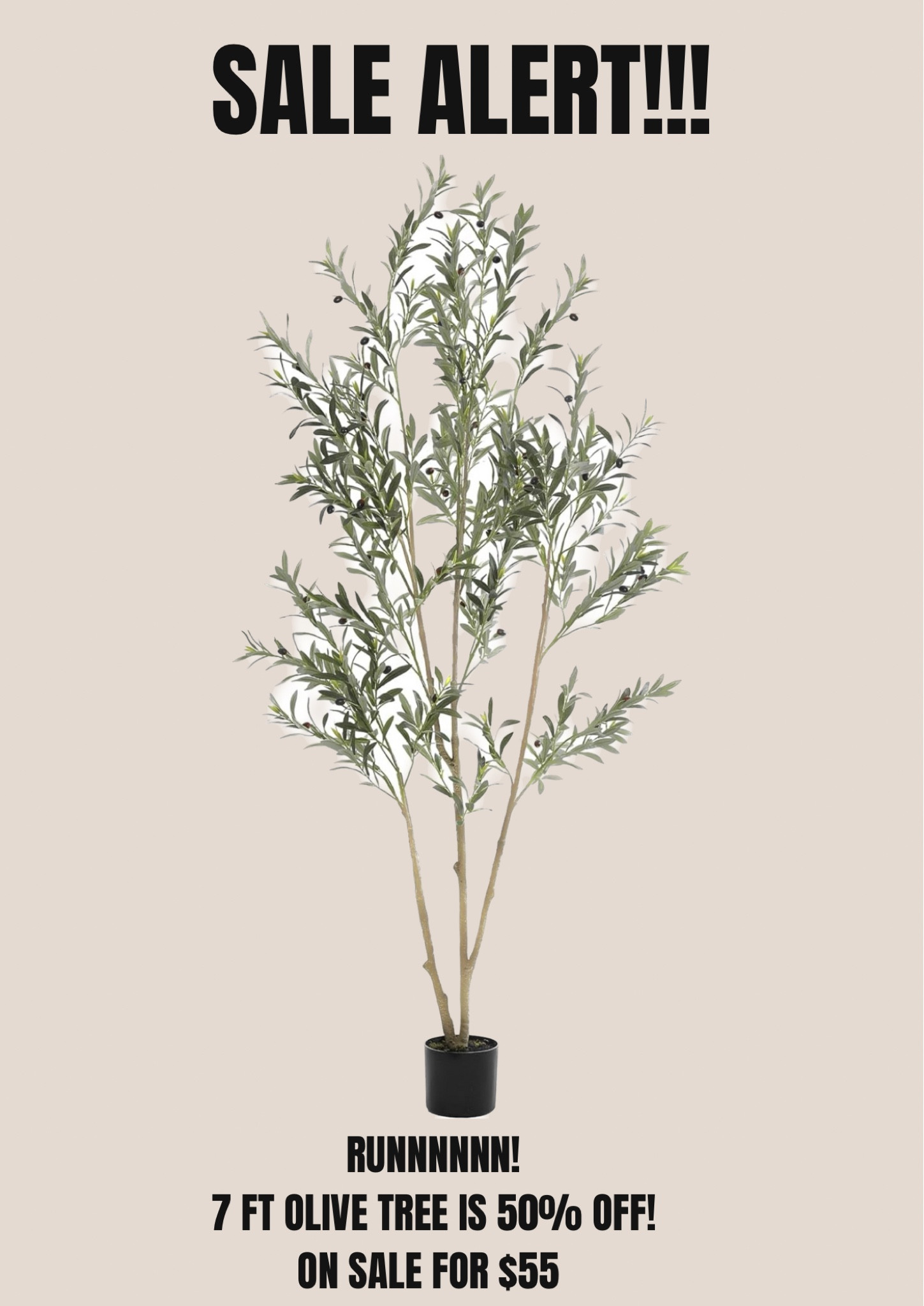 Realead 7ft Artificial Olive Tree … curated on LTK