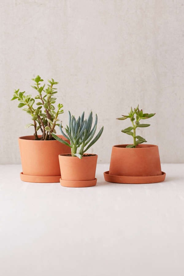 Home Tour: Endless Greenery — A Modern Urban Jungle Loft in Atlanta ...