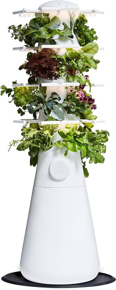 New! Lettuce Grow Farmstand Nook curated on LTK