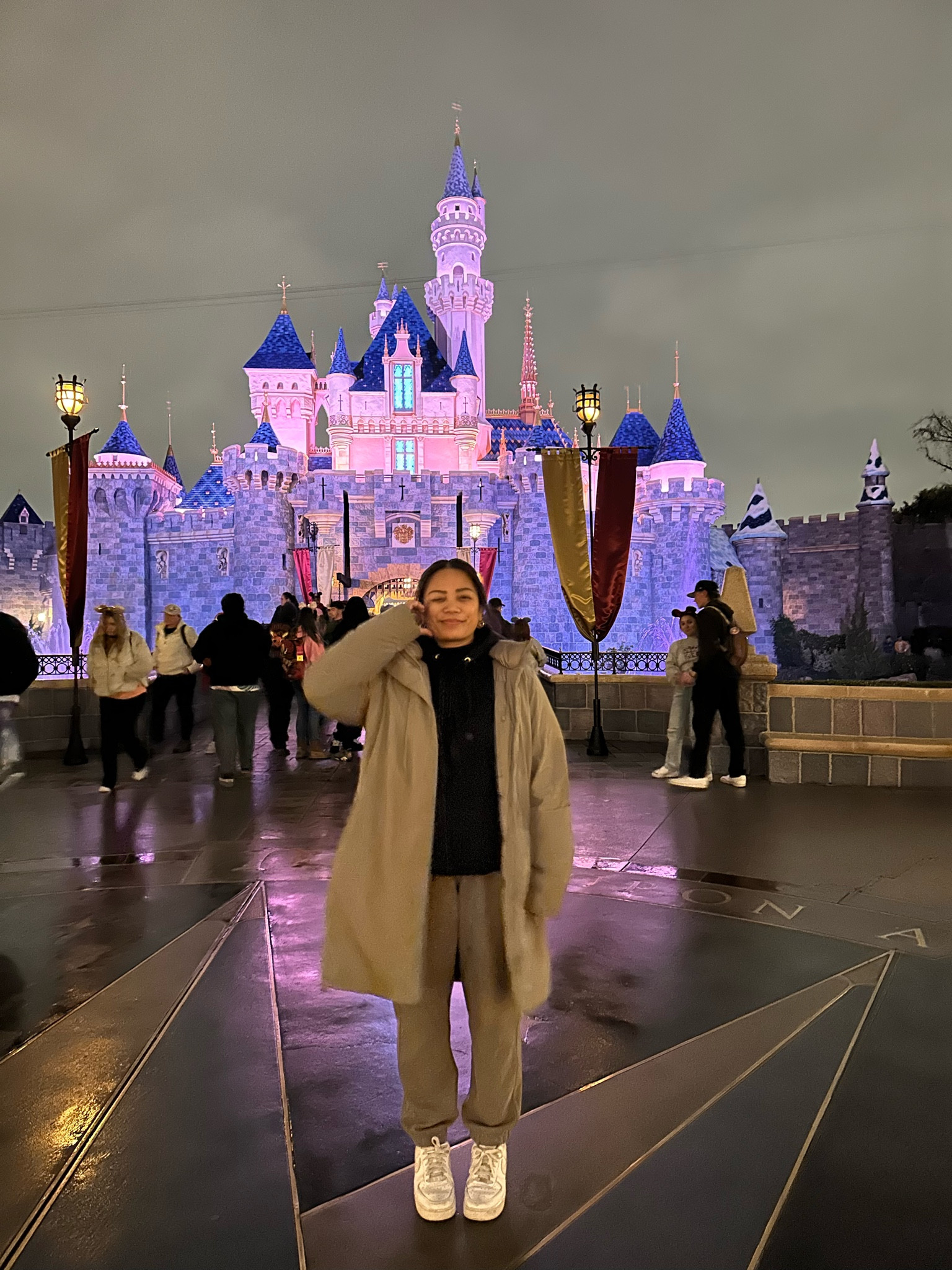 “Chic and Cozy: Top Disneyland Winter Outfit Ideas to Keep You Warm and ...
