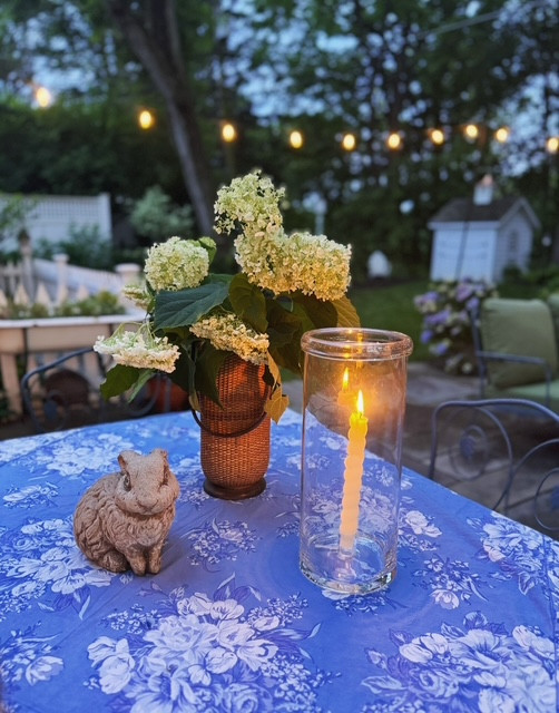 Stargazer Garden Lights Set of 21 … curated on LTK