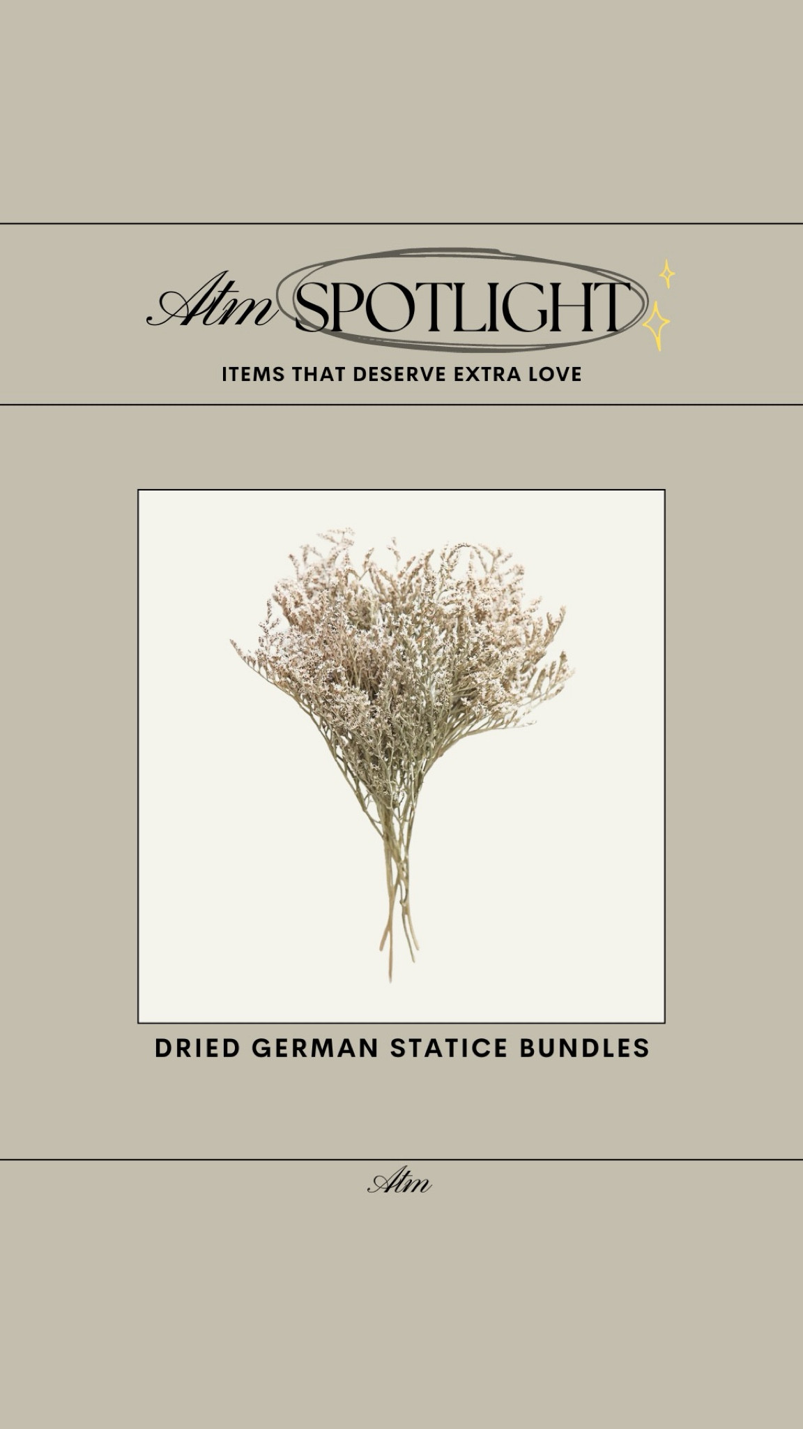 New Dried German Statice Bundles - … curated on LTK