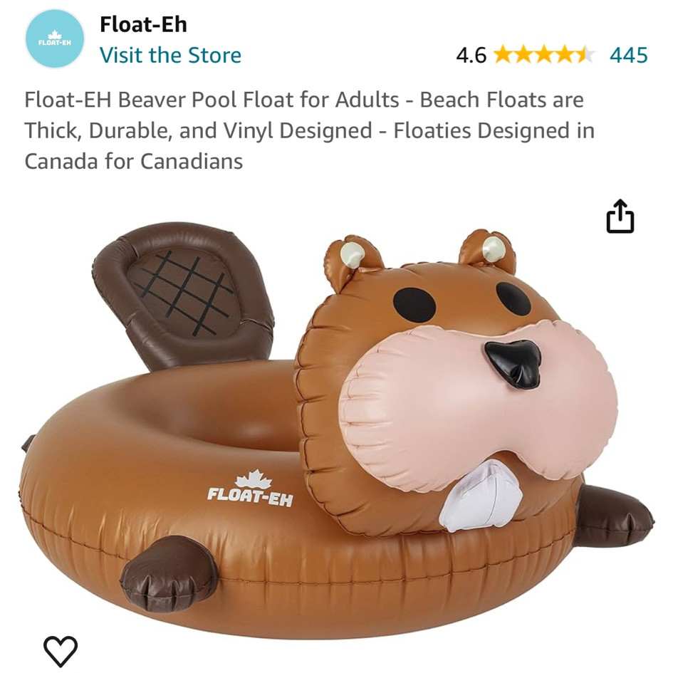 Float-EH Beaver Pool Float for … curated on LTK