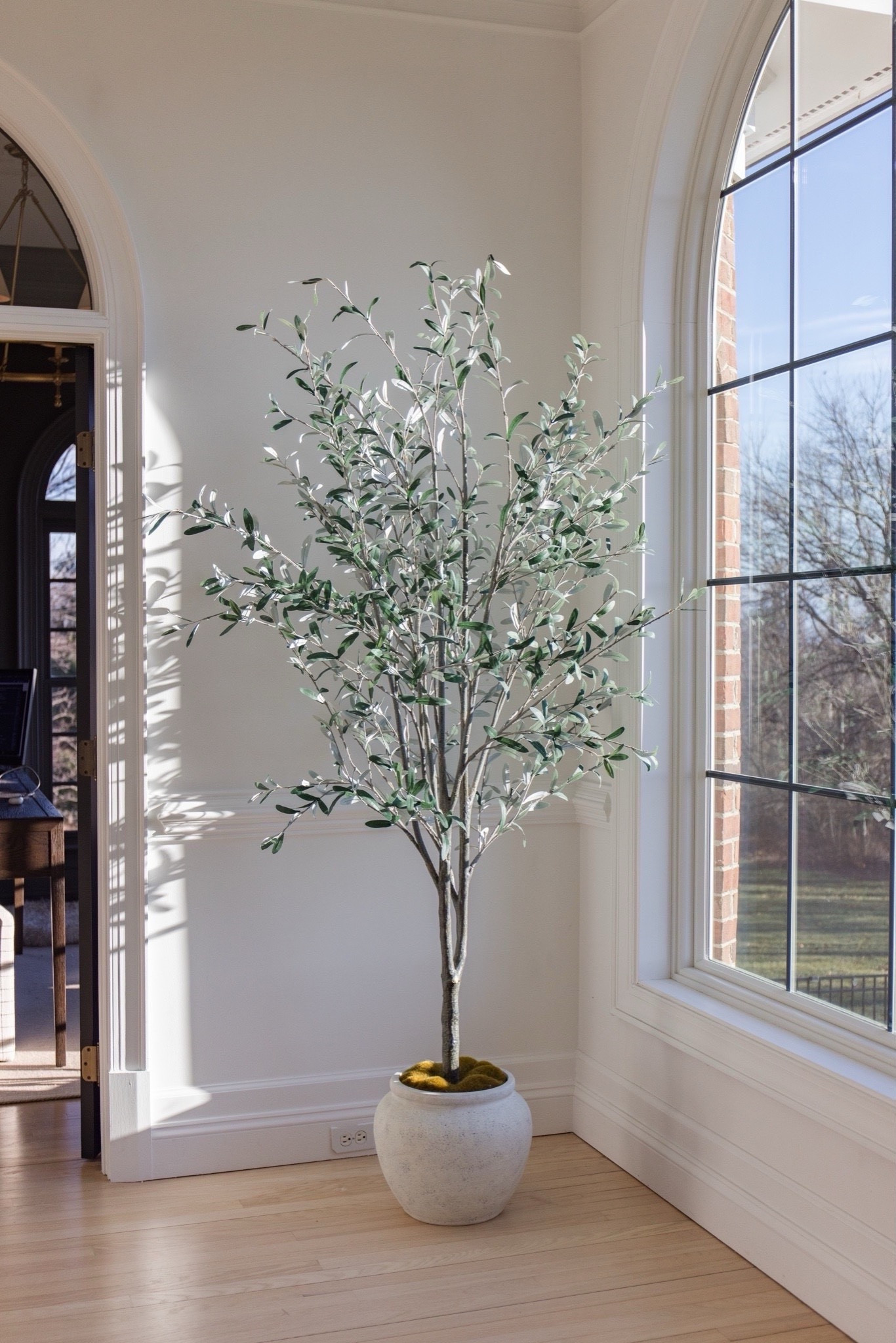 Olive Tree Artificial 7 Feet Tall, … curated on LTK