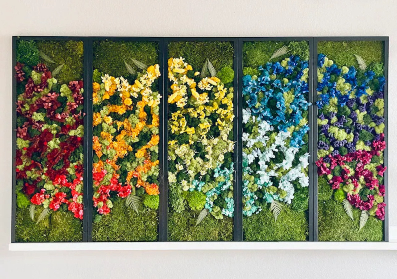 Rainbow Moss Wall Art Preserved … curated on LTK
