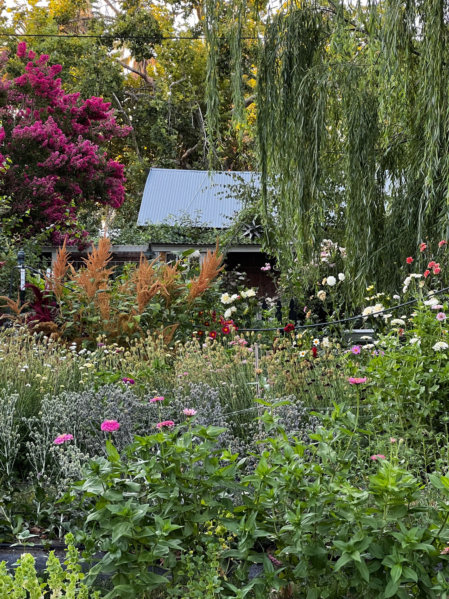 Rain Bird 1/2 in. x 250 ft. x 12 … curated on LTK