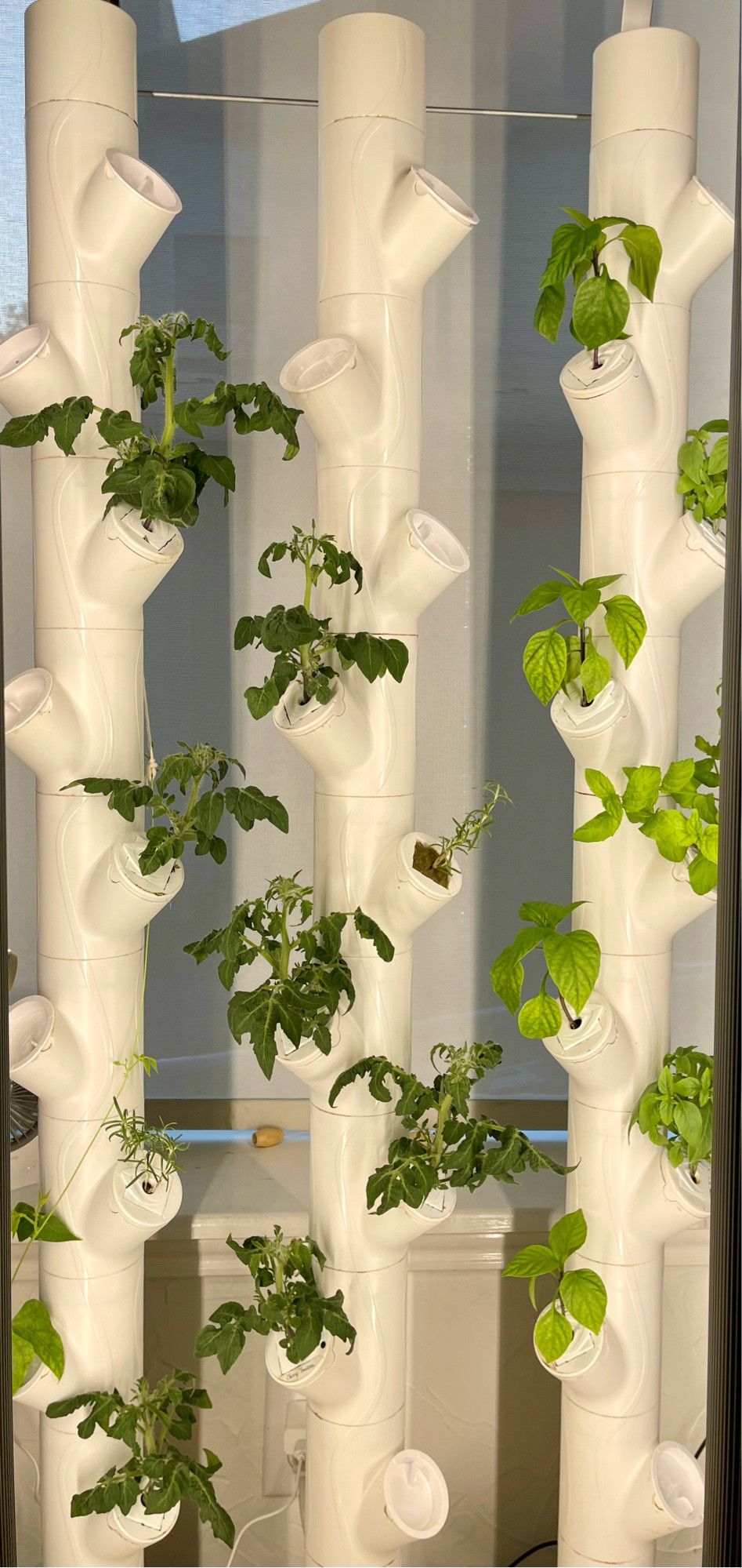 Gardyn Hydroponics Growing System … curated on LTK